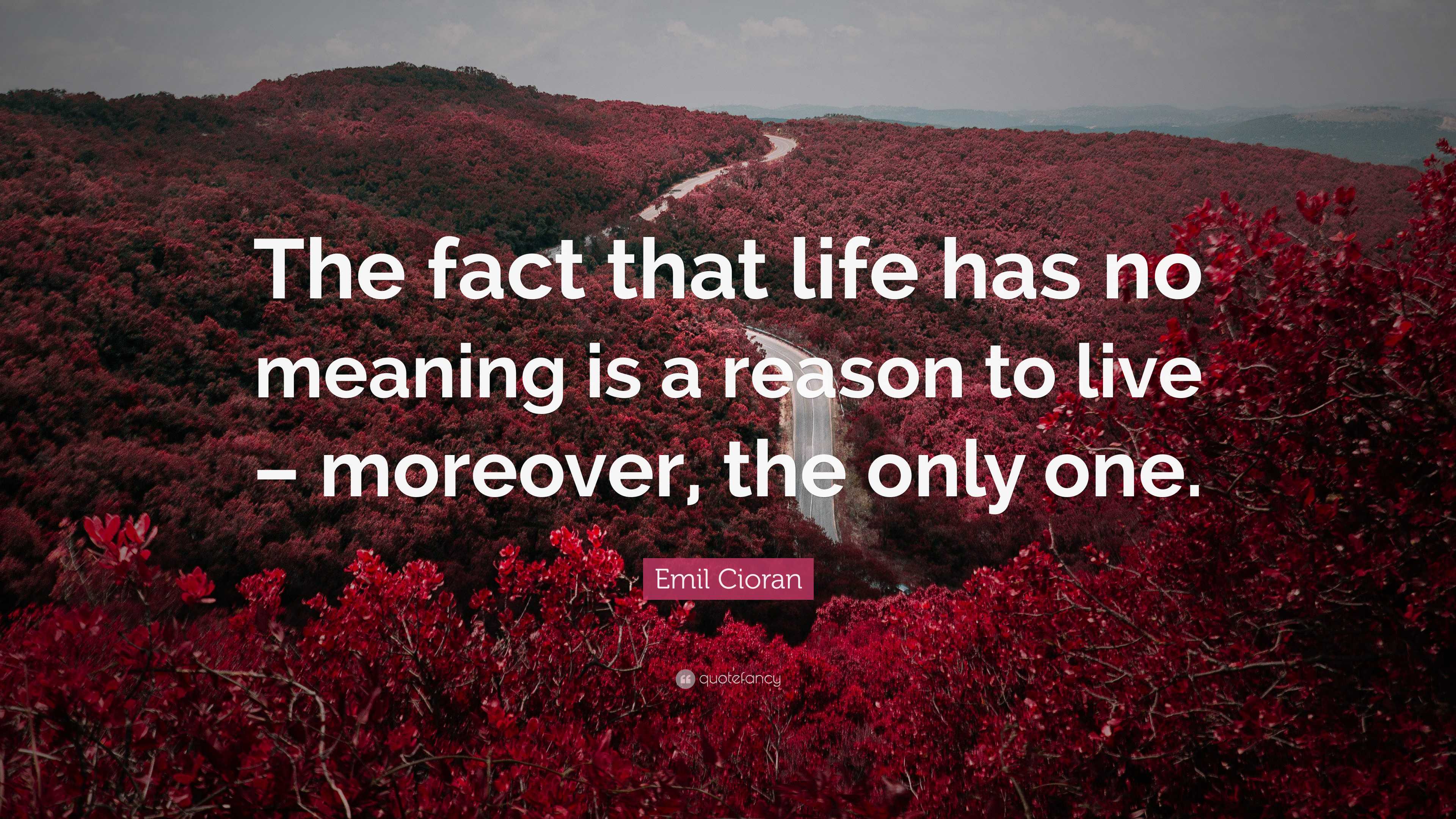 Emil Cioran Quote: “The fact that life has no meaning is a reason to ...
