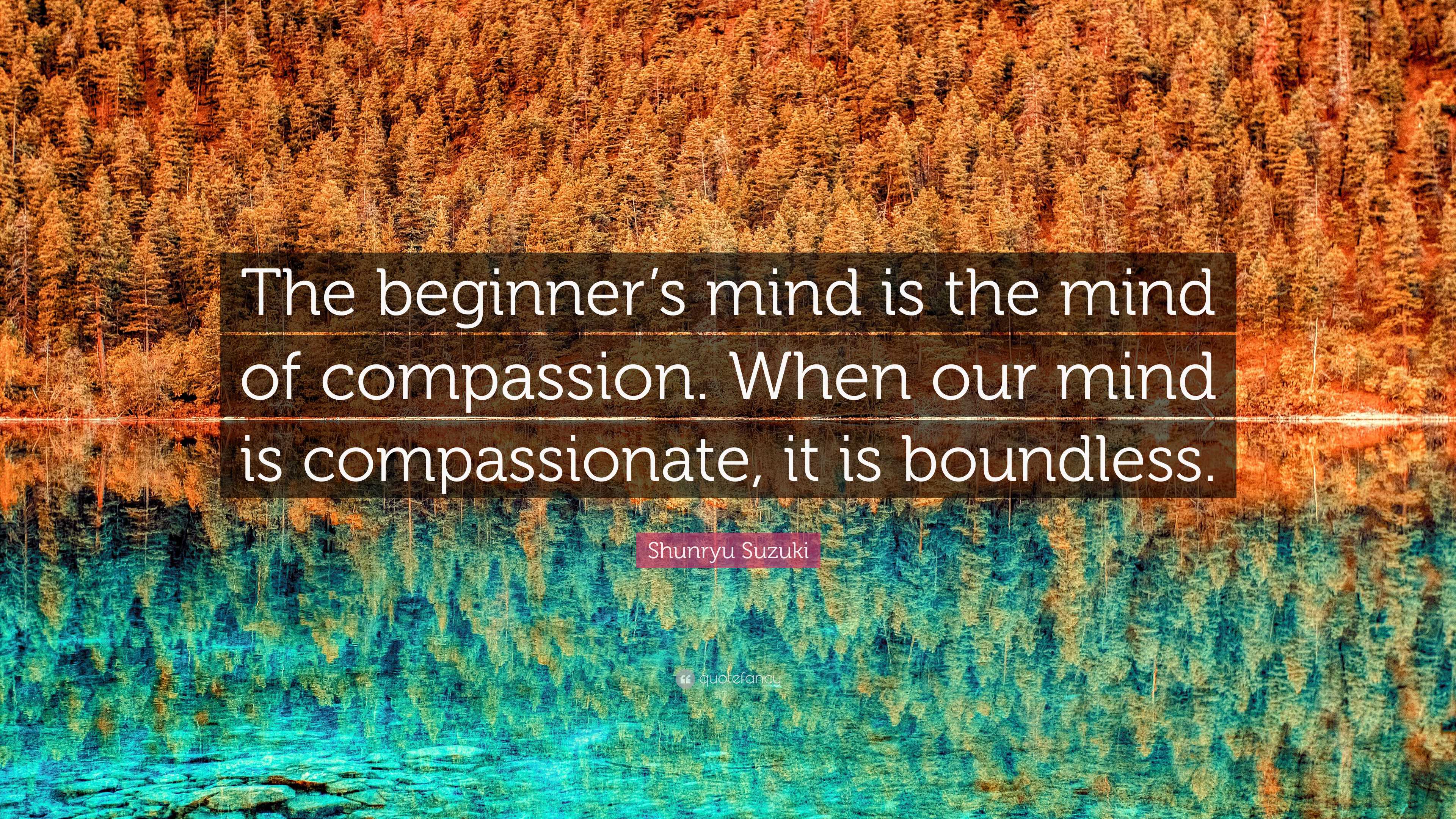 Shunryu Suzuki Quote: “The beginner’s mind is the mind of compassion ...