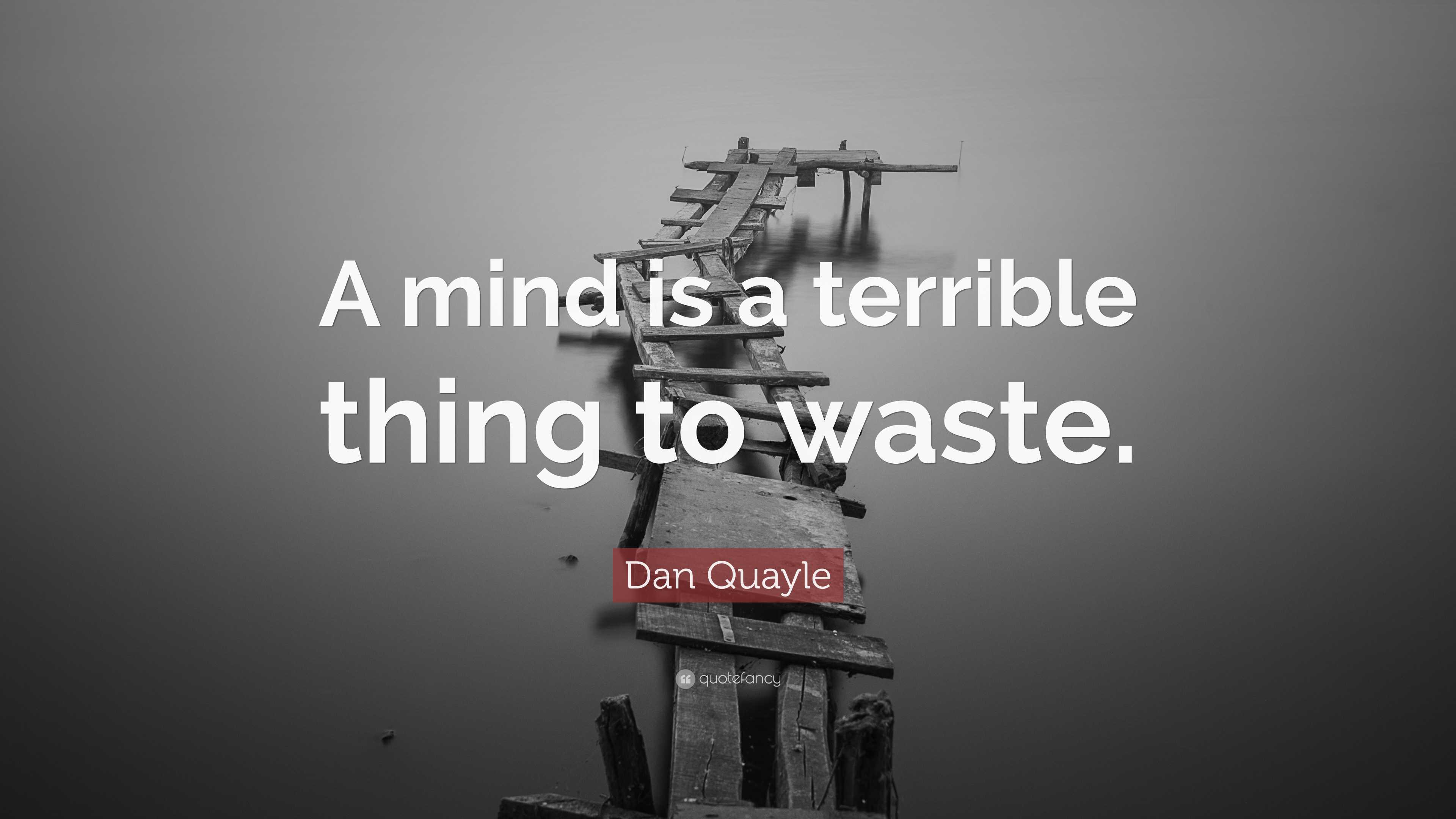 Dan Quayle Quote: “A mind is a terrible thing to waste.”