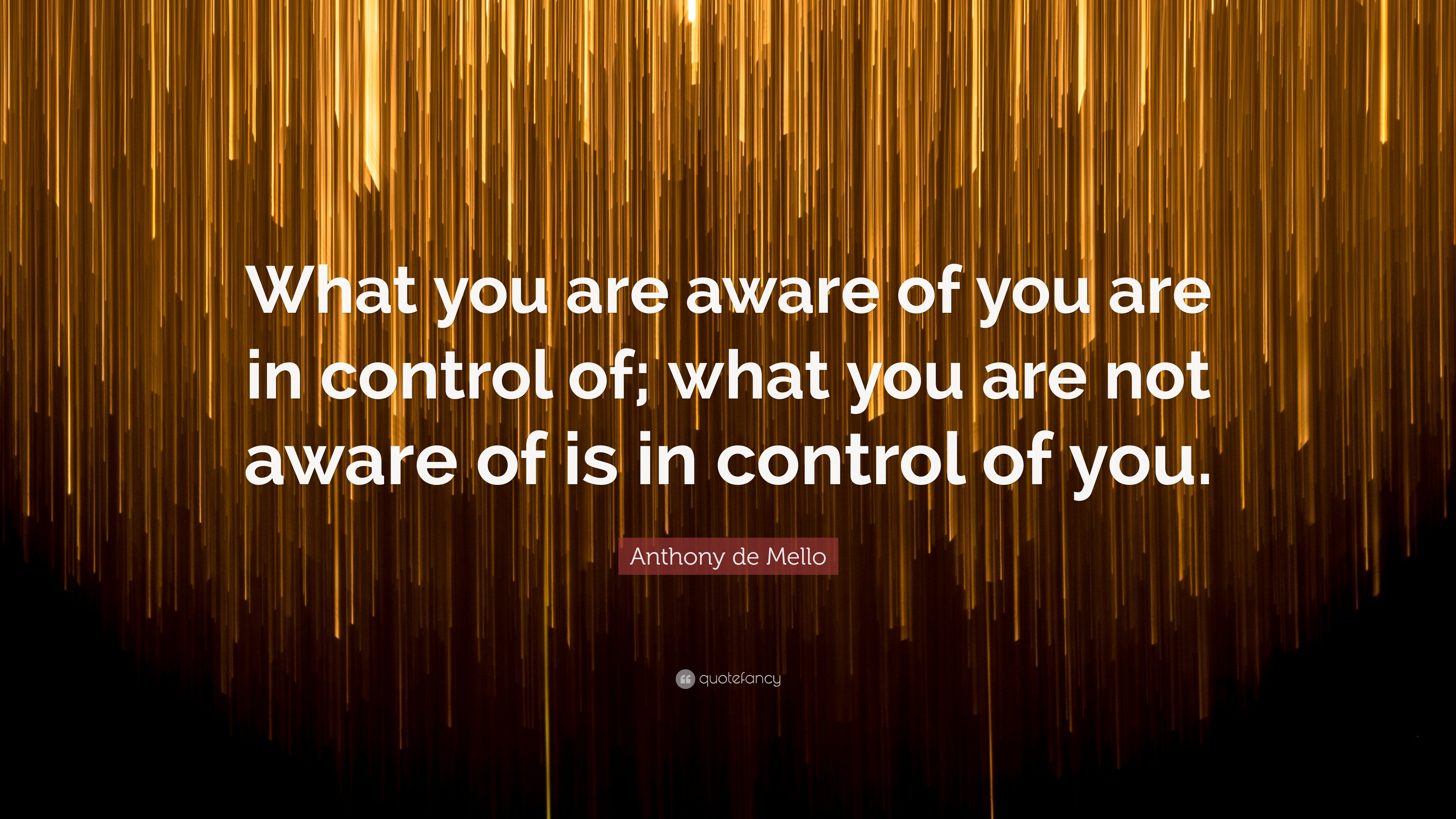 Anthony de Mello Quote: “What you are aware of you are in control of ...