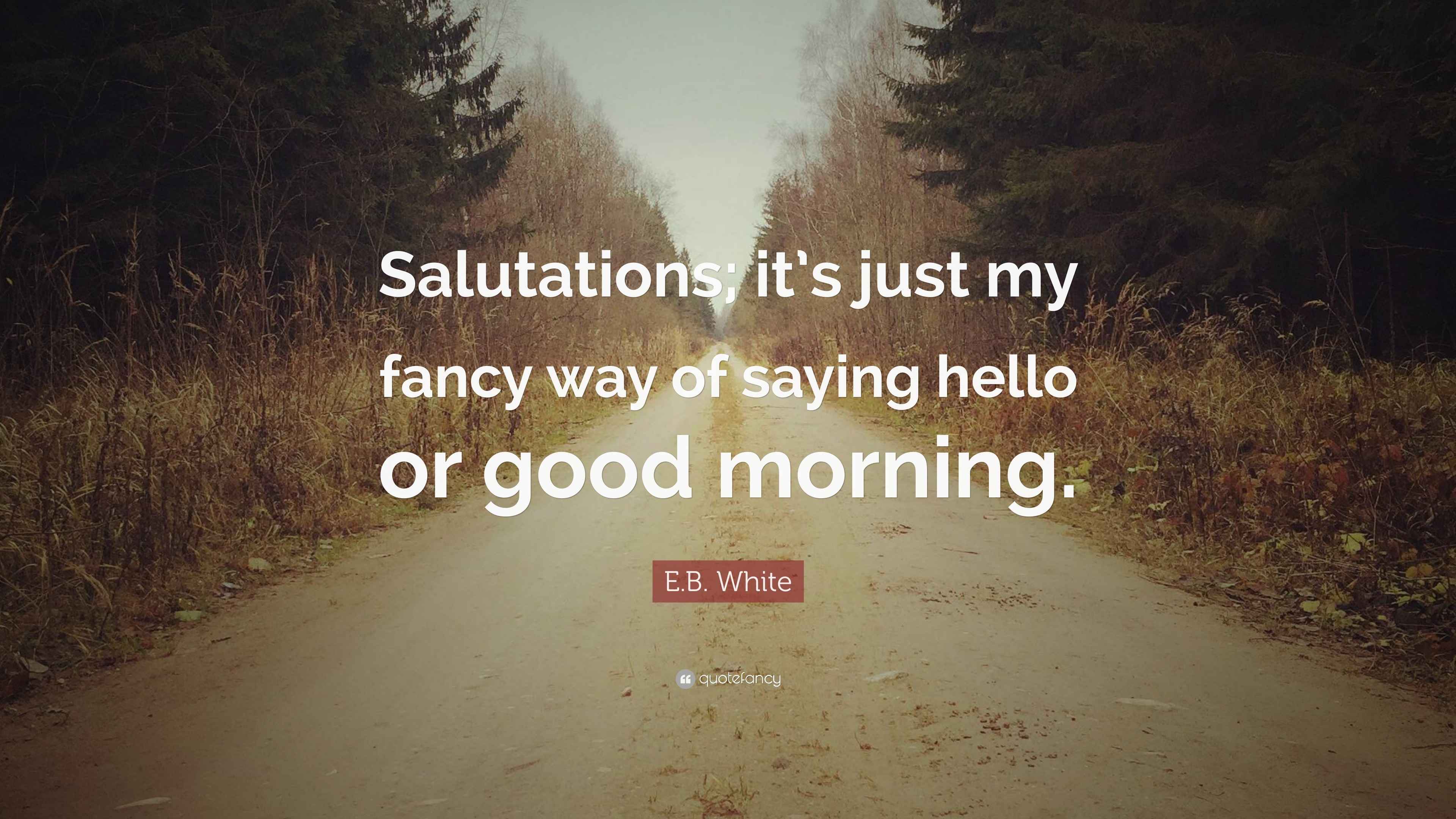 E.B. White Quote: “Salutations; it’s just my fancy way of saying hello ...