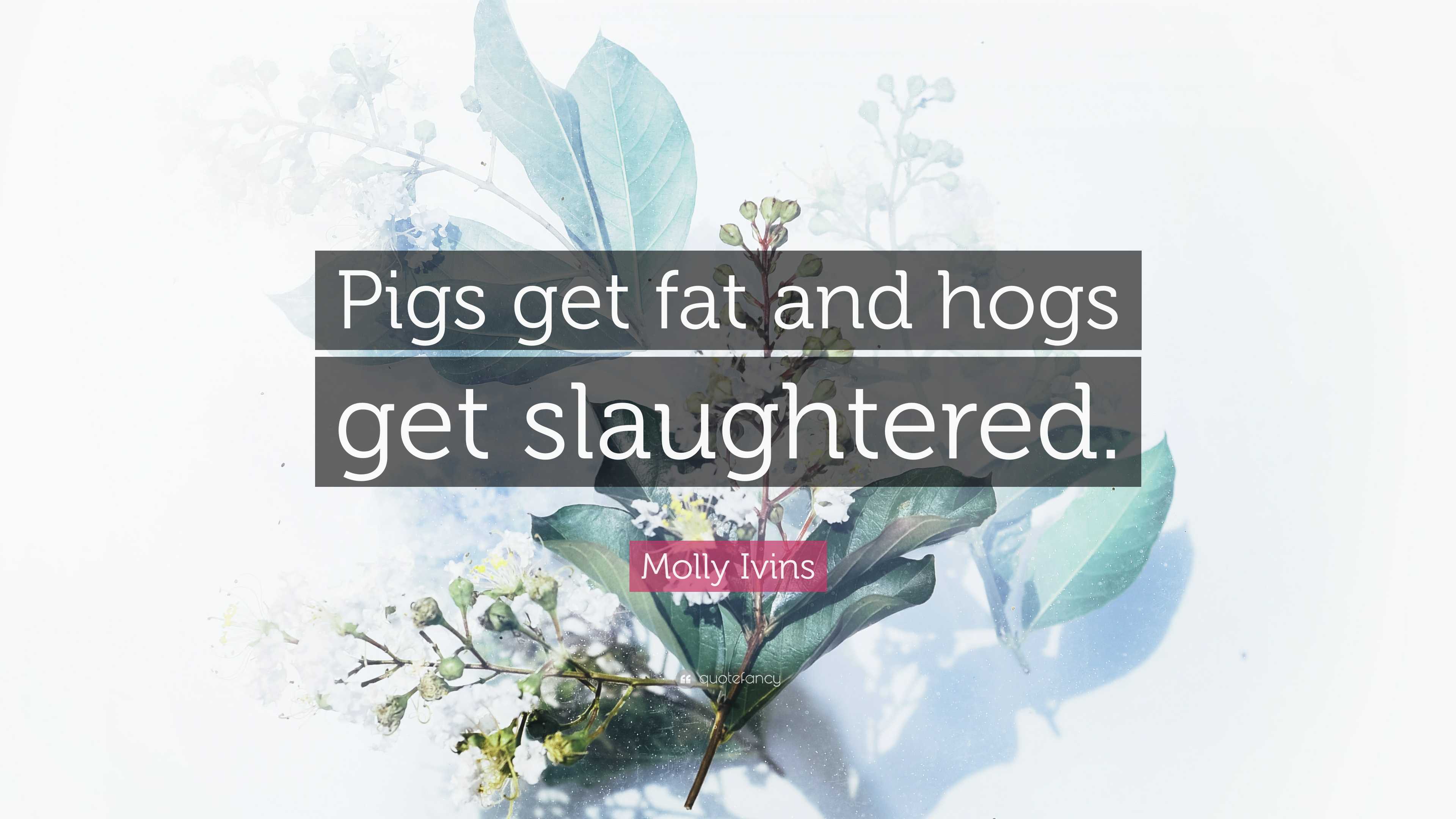 Molly Ivins Quote: “Pigs get fat and hogs get slaughtered.”