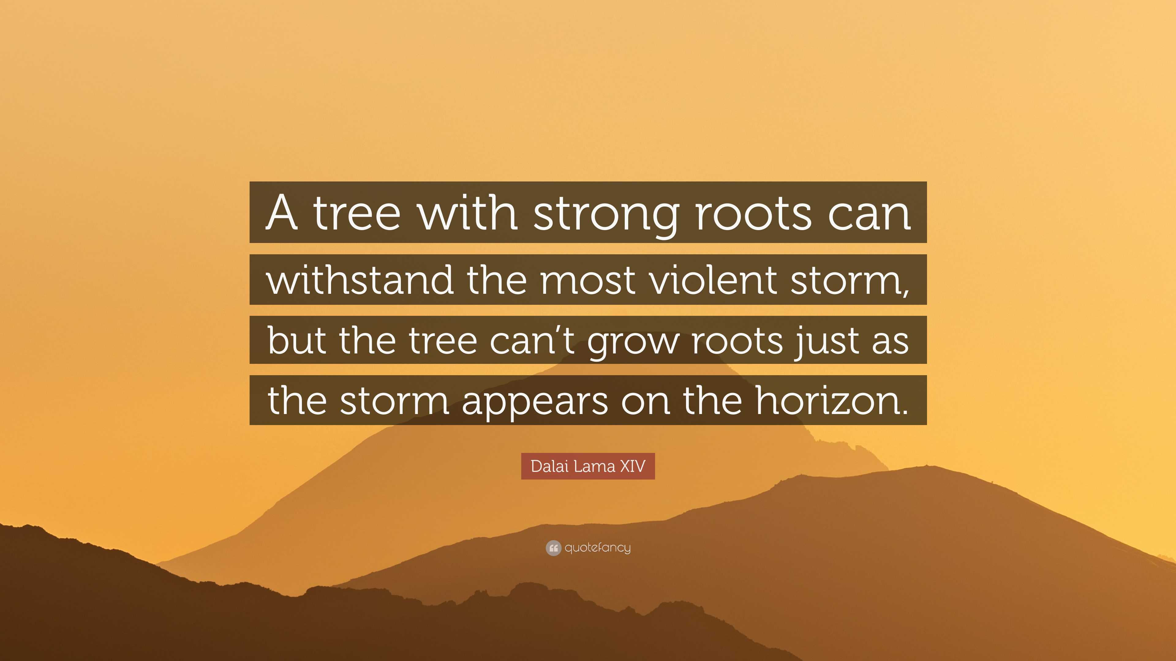 Dalai Lama XIV Quote: “A tree with strong roots can withstand the most ...