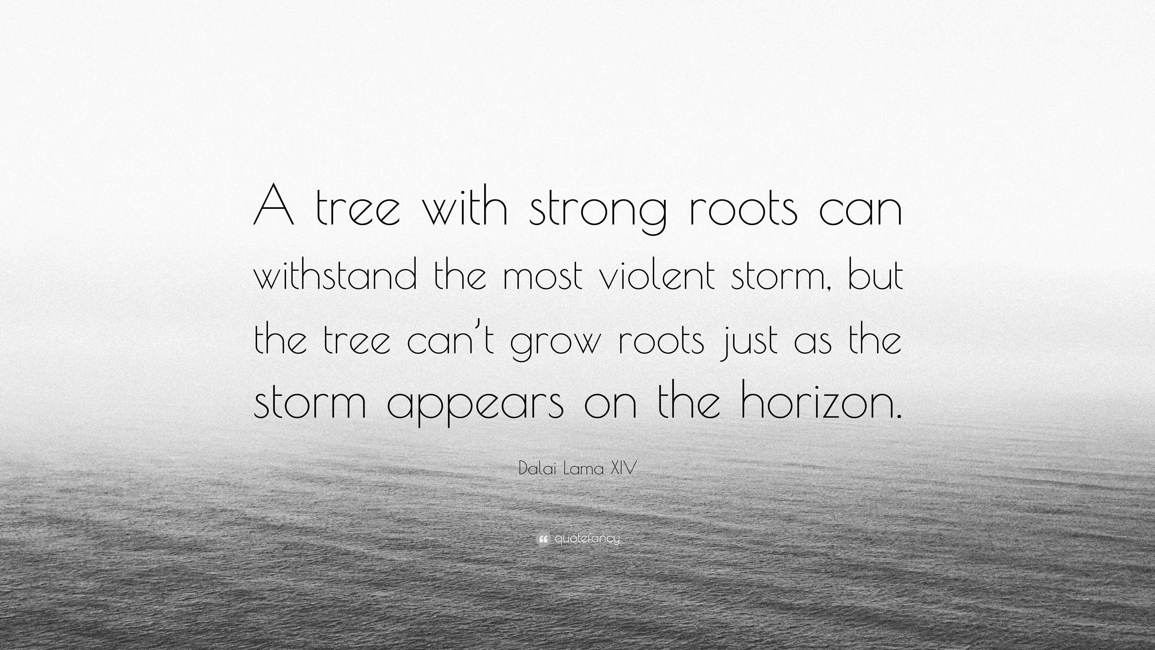 Dalai Lama XIV Quote: “A tree with strong roots can withstand the most ...