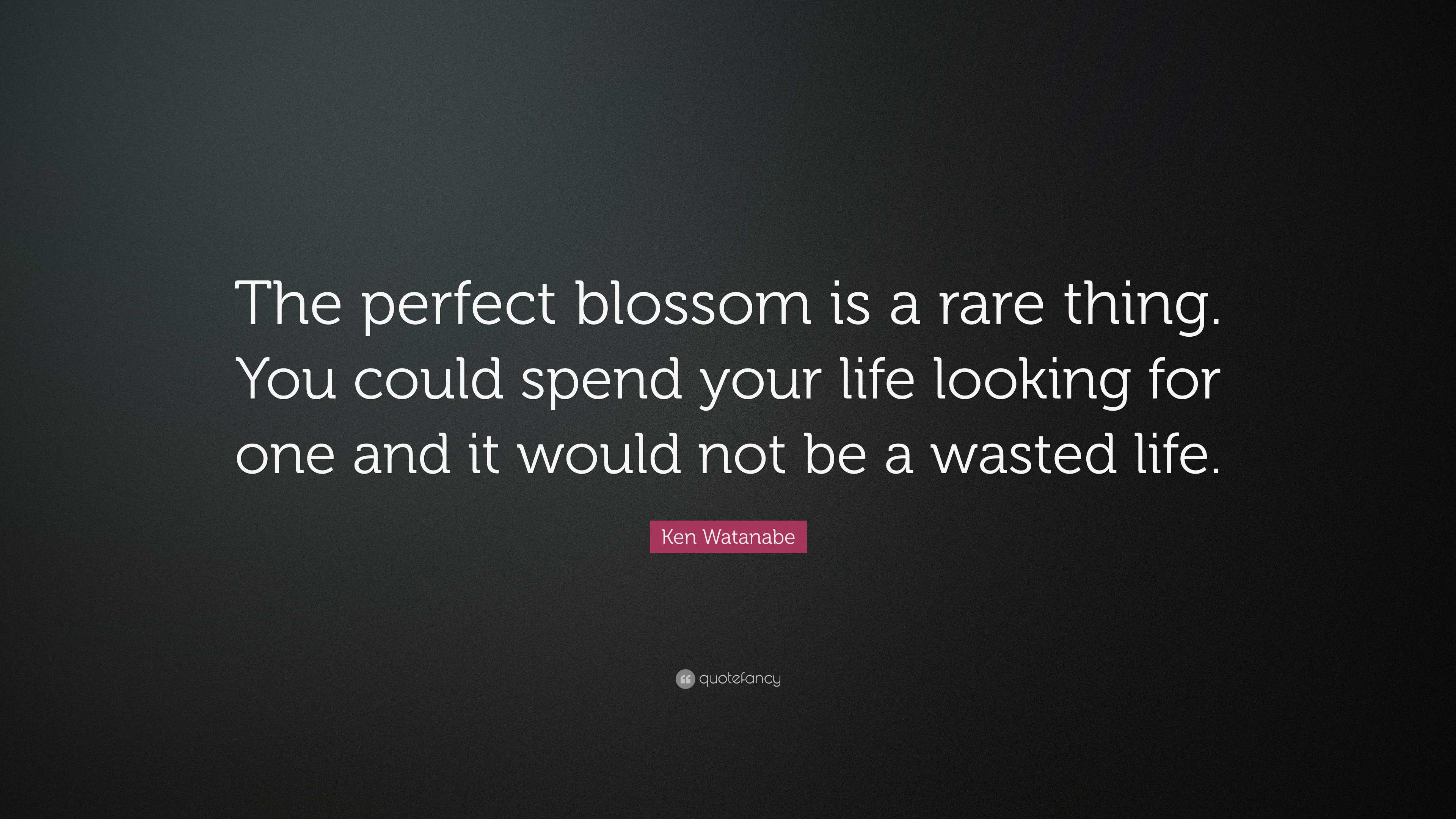 Ken Watanabe Quote: “The perfect blossom is a rare thing. You could ...
