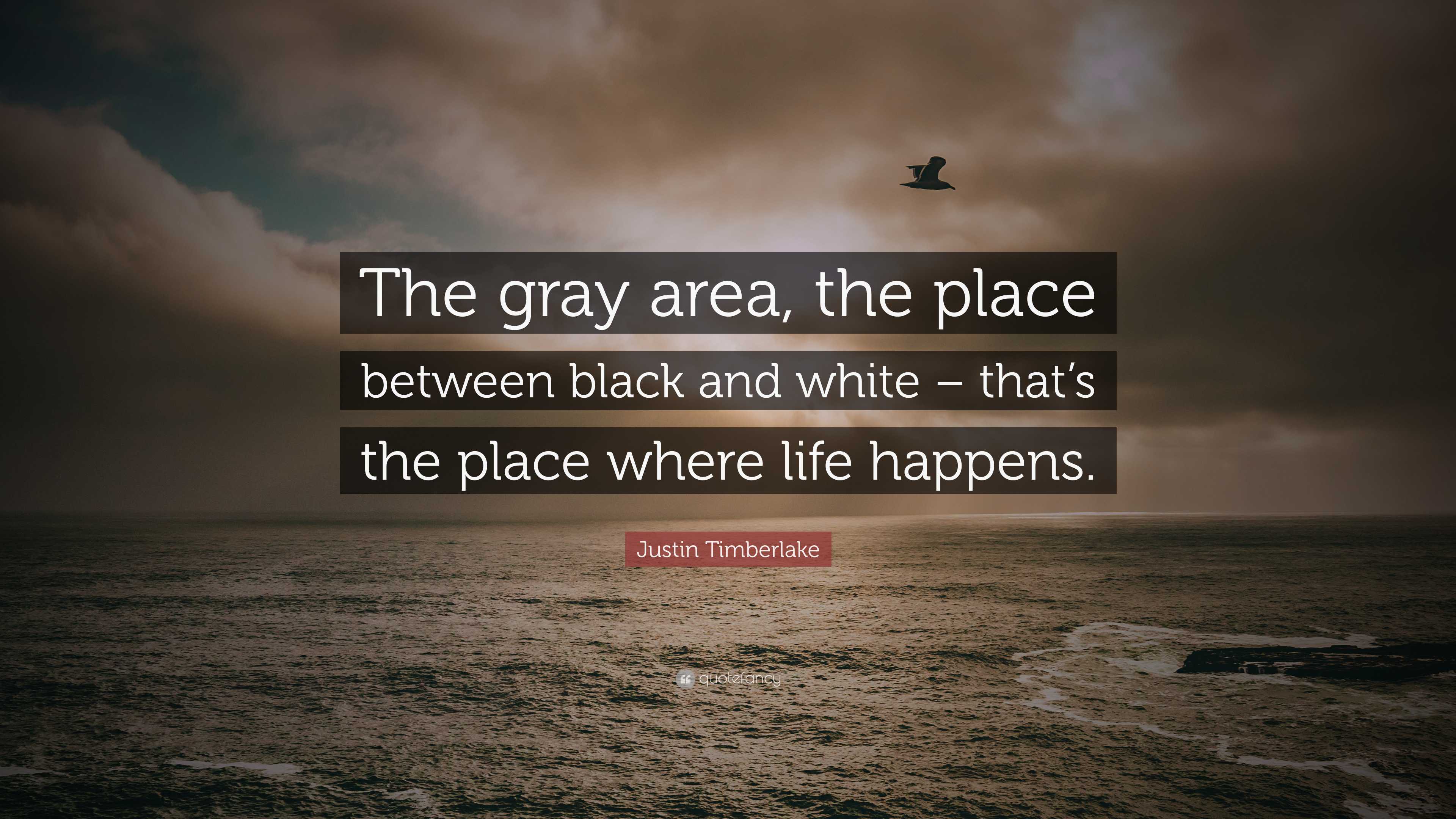 Justin Timberlake Quote: “The gray area, the place between black and ...