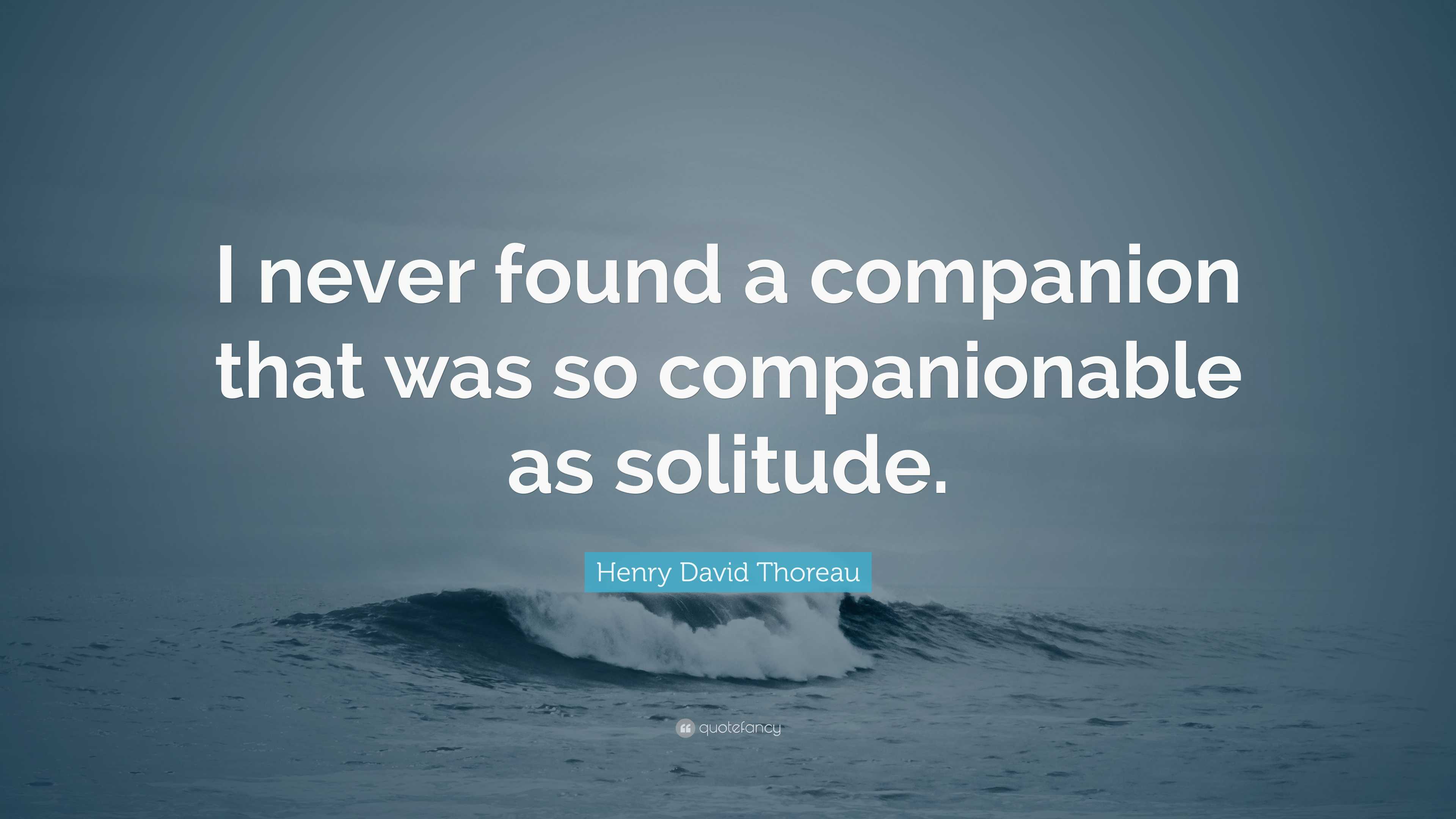 Henry David Thoreau Quote: “I never found a companion that was so ...