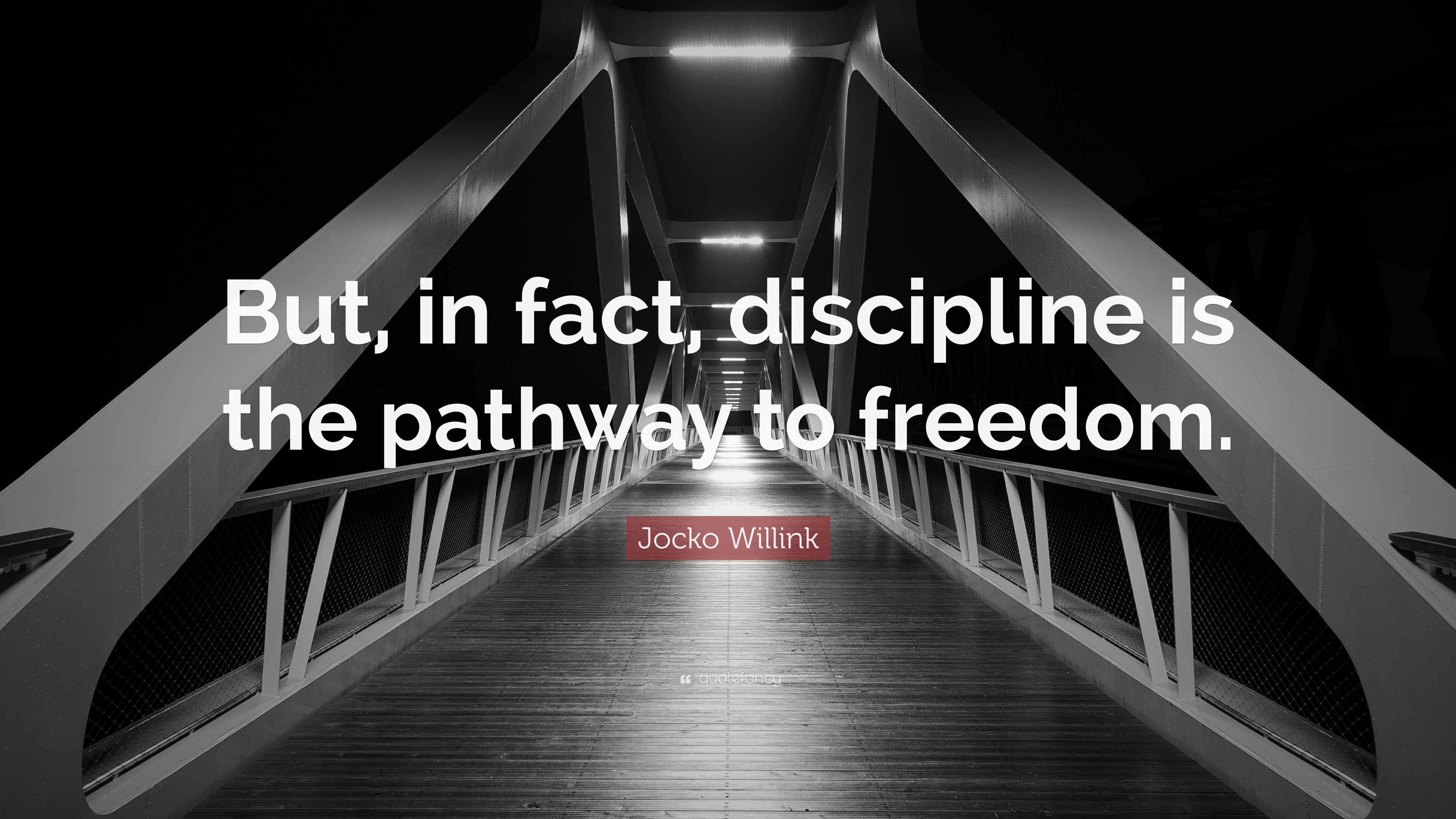 Jocko Willink Quote: “But, in fact, discipline is the pathway to freedom.”