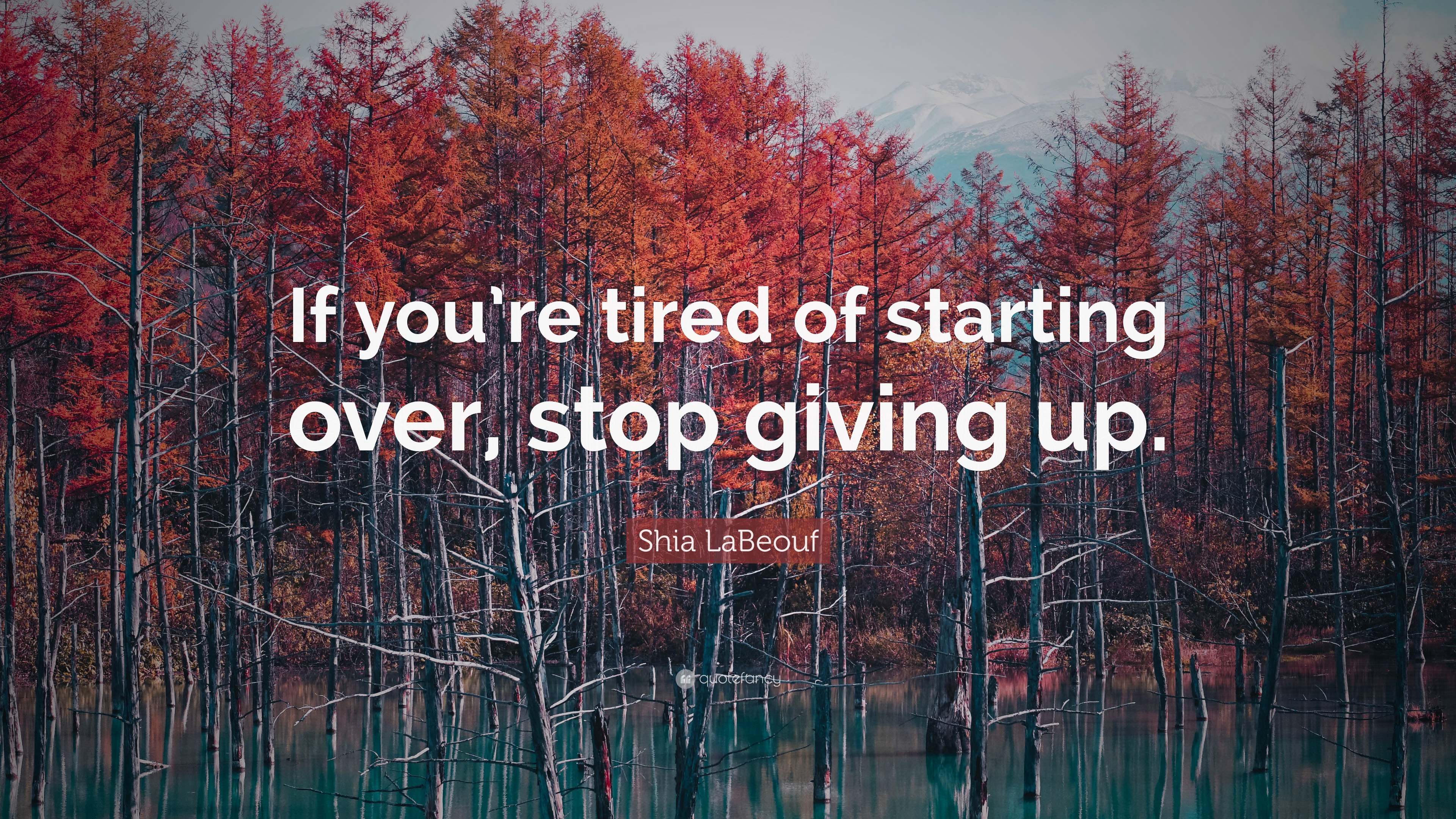 Im Not Giving Up Im Just Starting Over