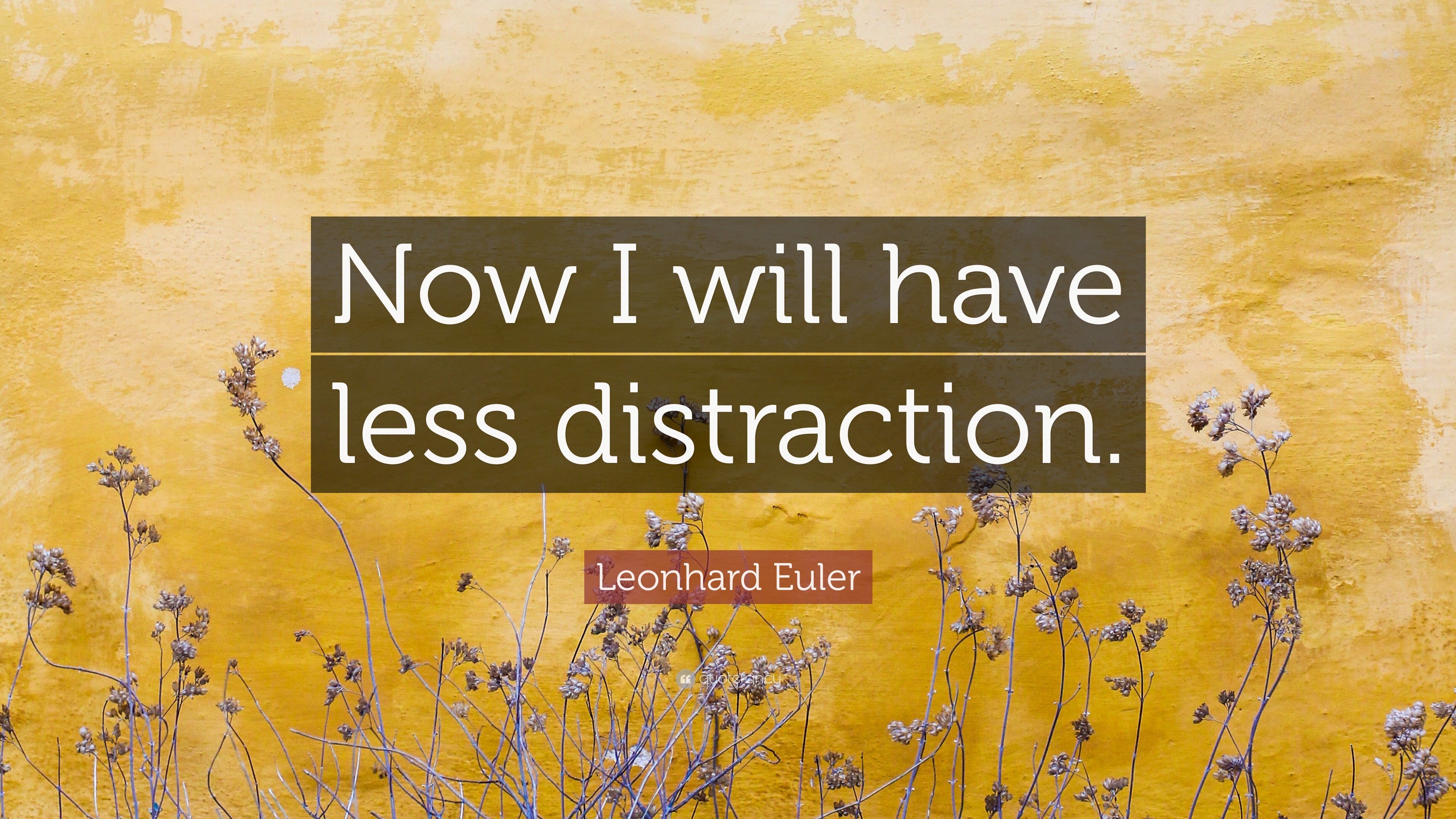 Leonhard Euler Quote: “Now I will have less distraction.”