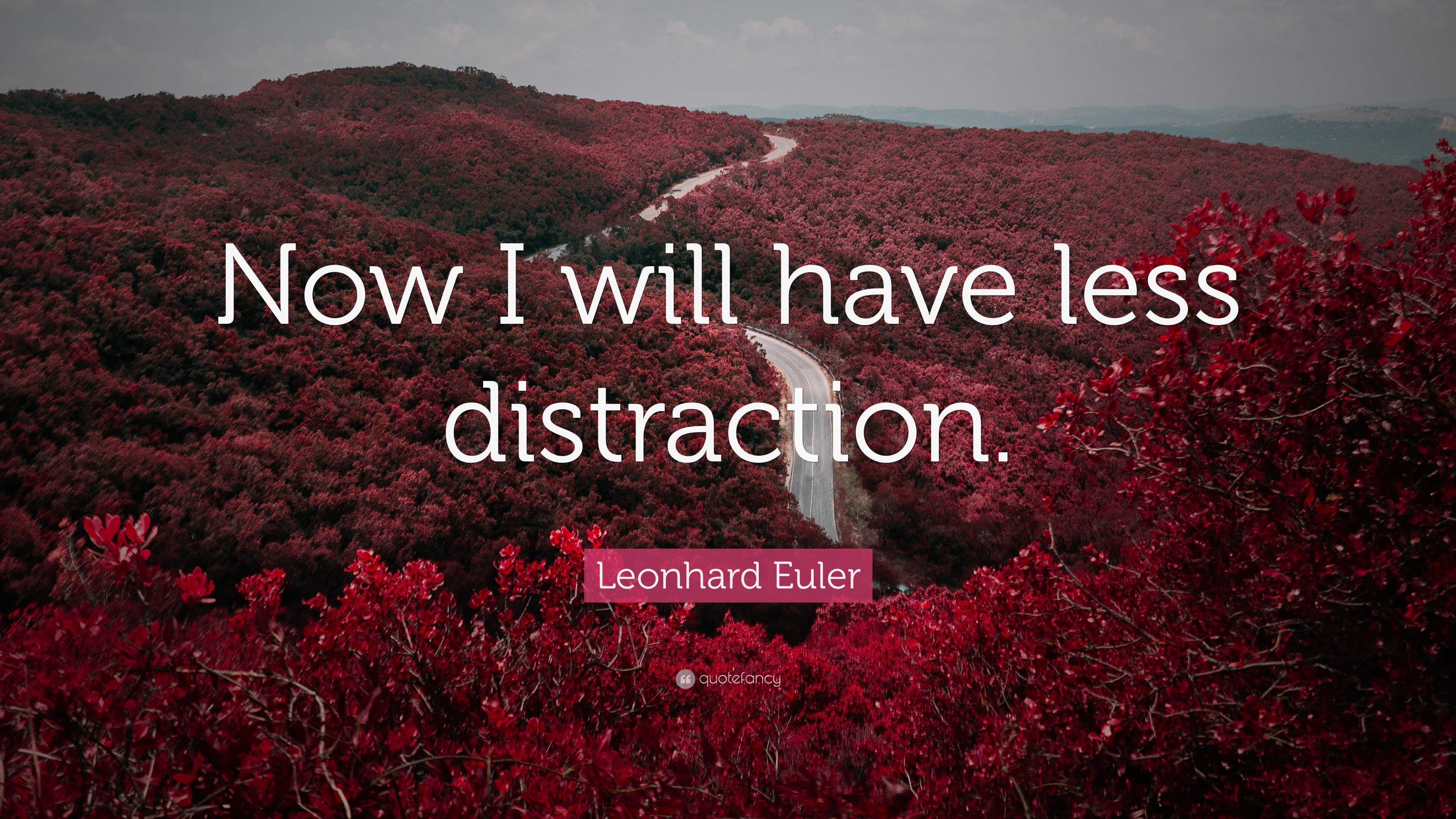 Leonhard Euler Quote: “Now I will have less distraction.”