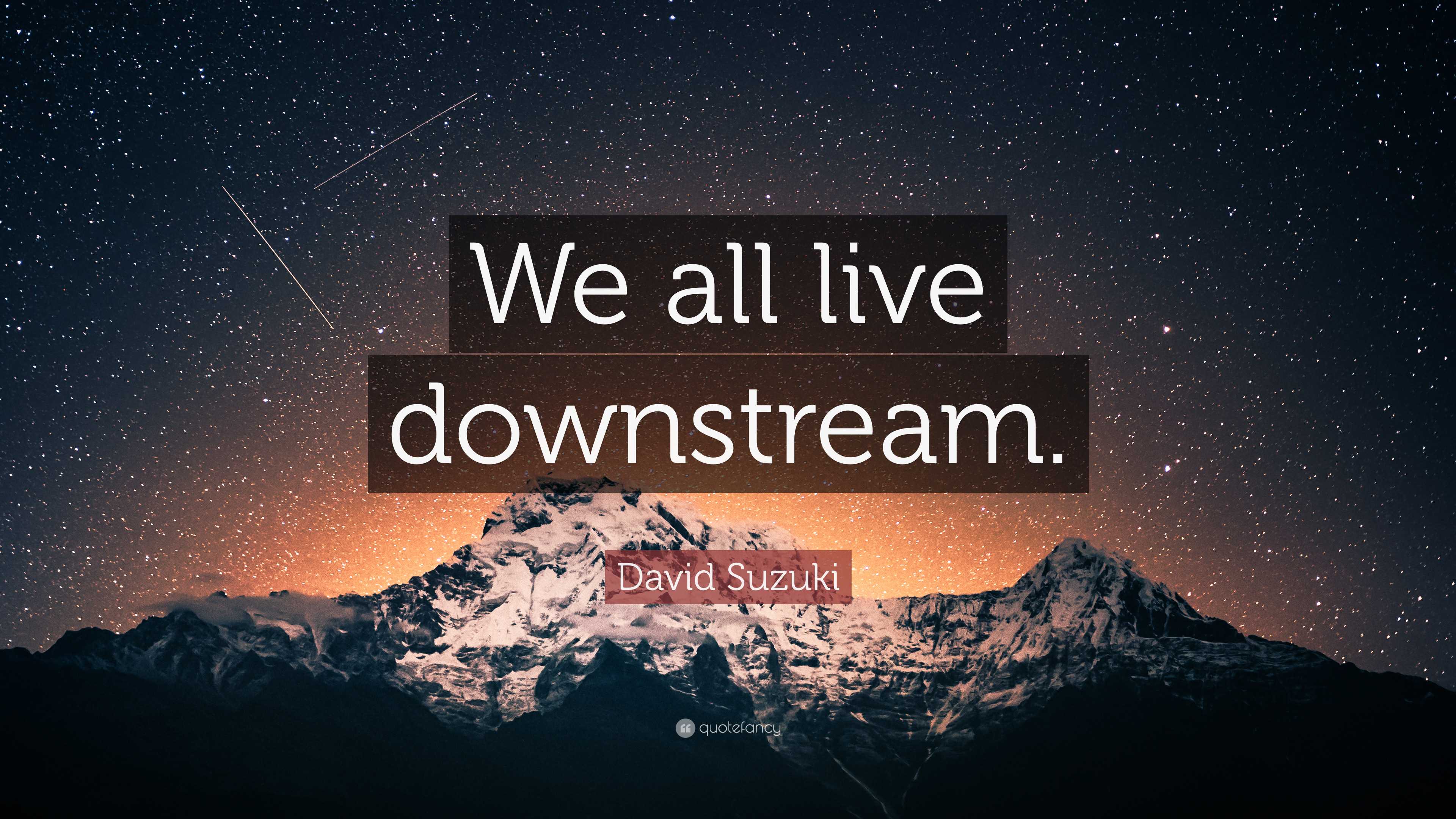 David Suzuki Quote: “We all live downstream.”