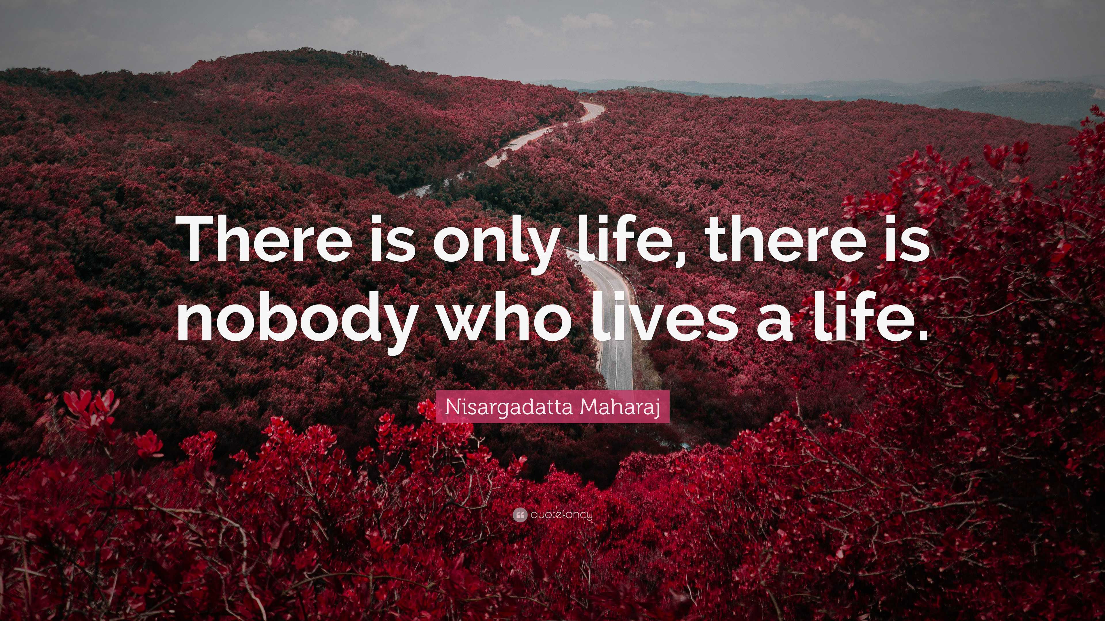 Nisargadatta Maharaj Quote: “There is only life, there is nobody who ...