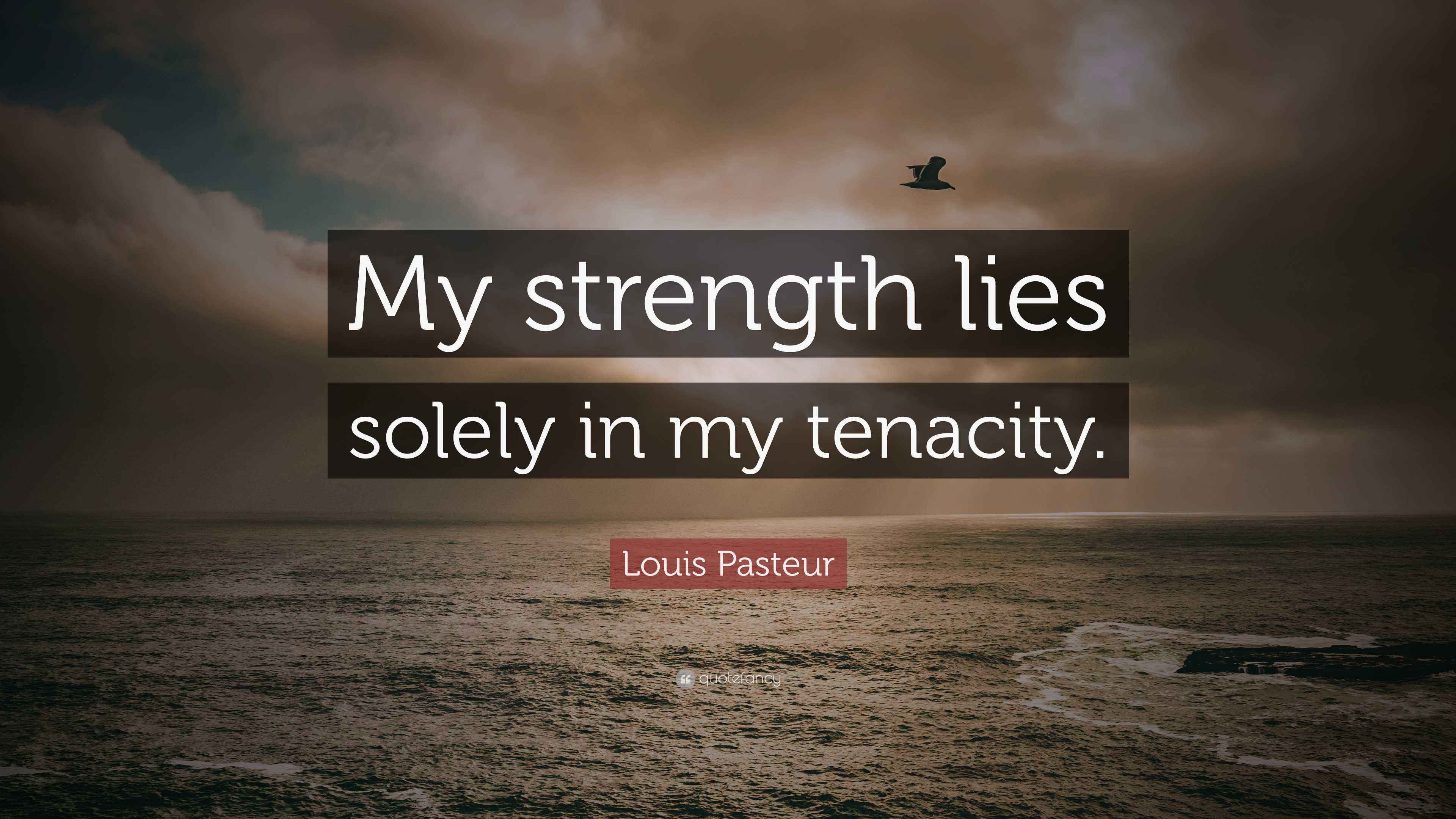 Louis Pasteur Quote: “My strength lies solely in my tenacity.”