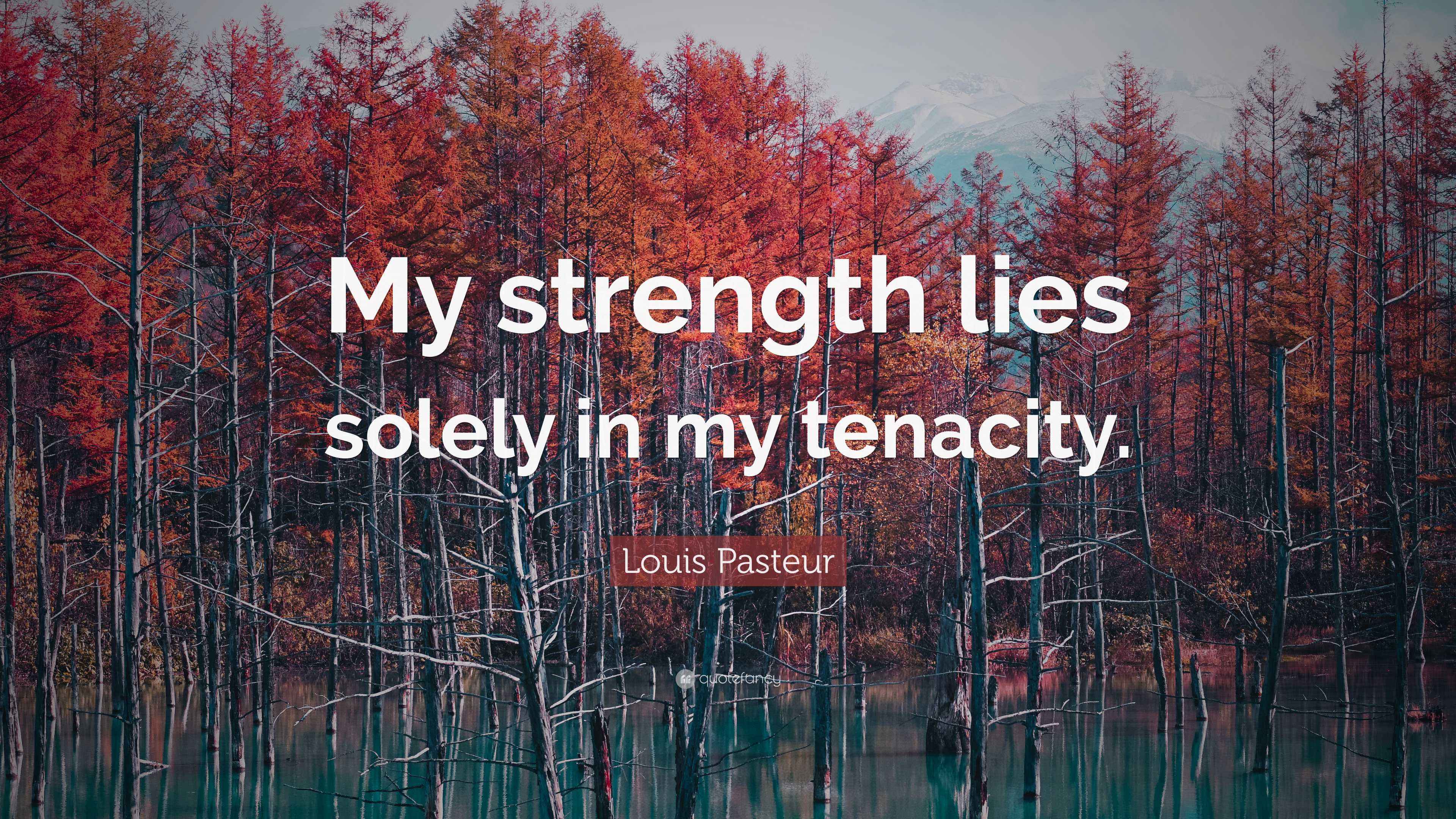 Louis Pasteur Quote: “My strength lies solely in my tenacity.”