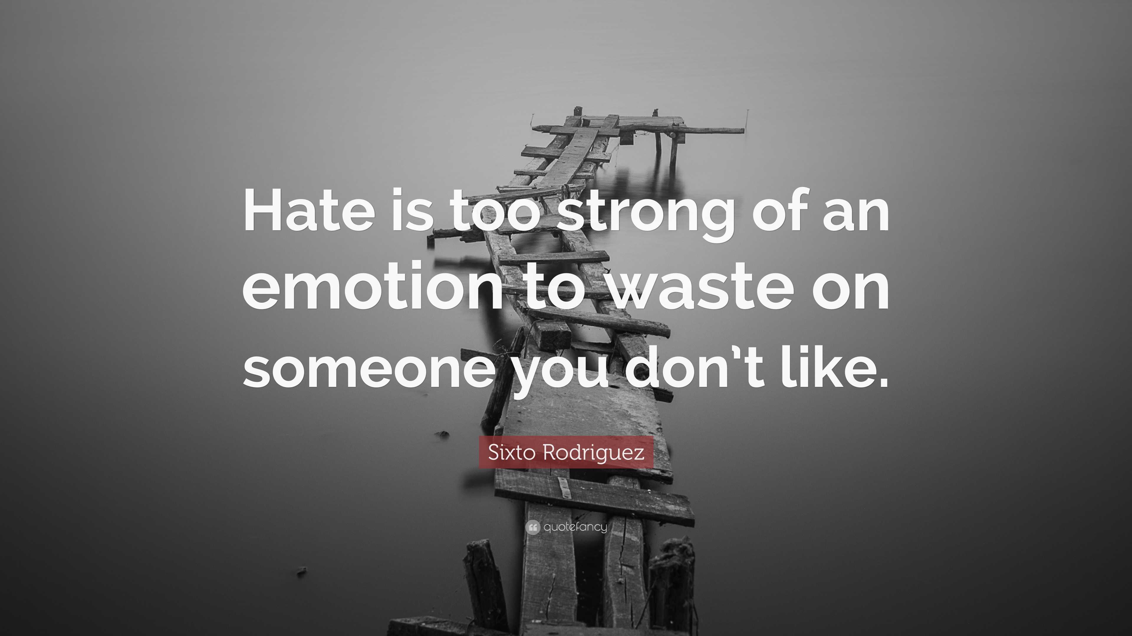 Sixto Rodriguez Quote: “Hate is too strong of an emotion to waste on ...