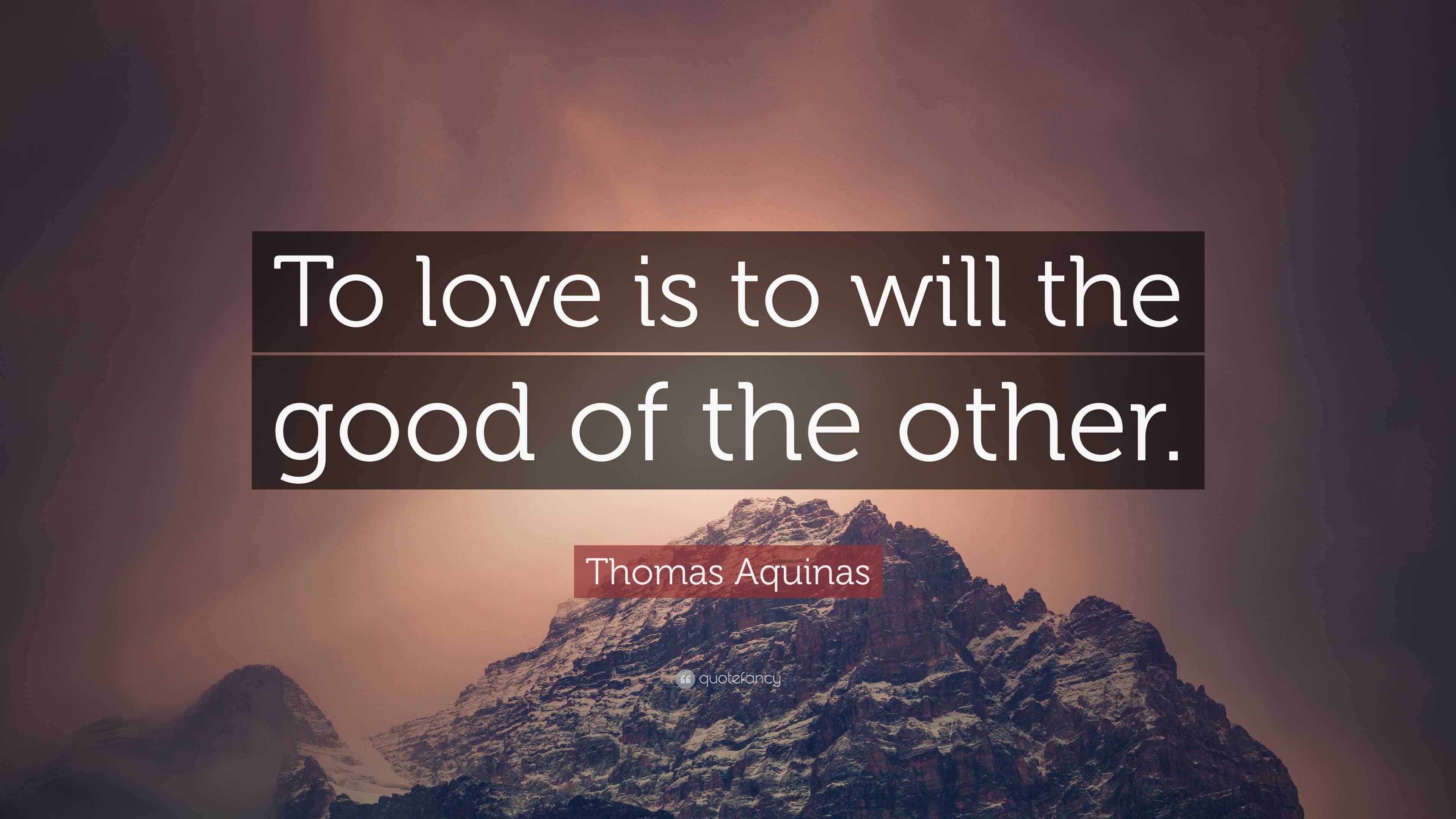 Thomas Aquinas Quote: “To love is to will the good of the other.”