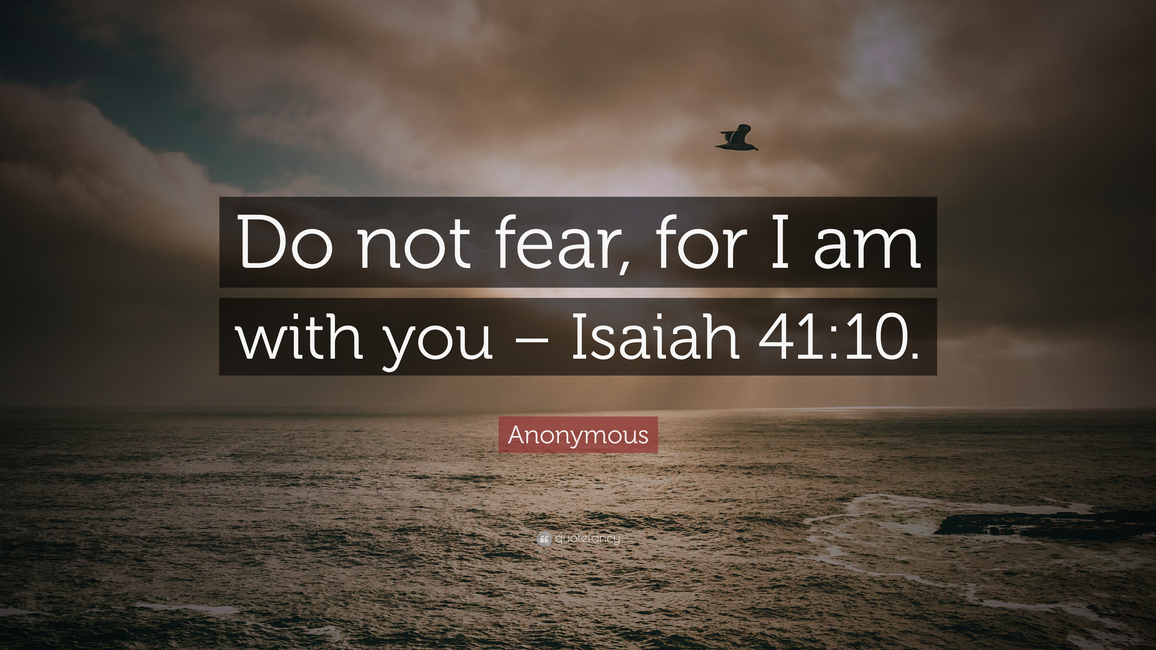 Anonymous Quote: “Do not fear, for I am with you – Isaiah 41:10.”