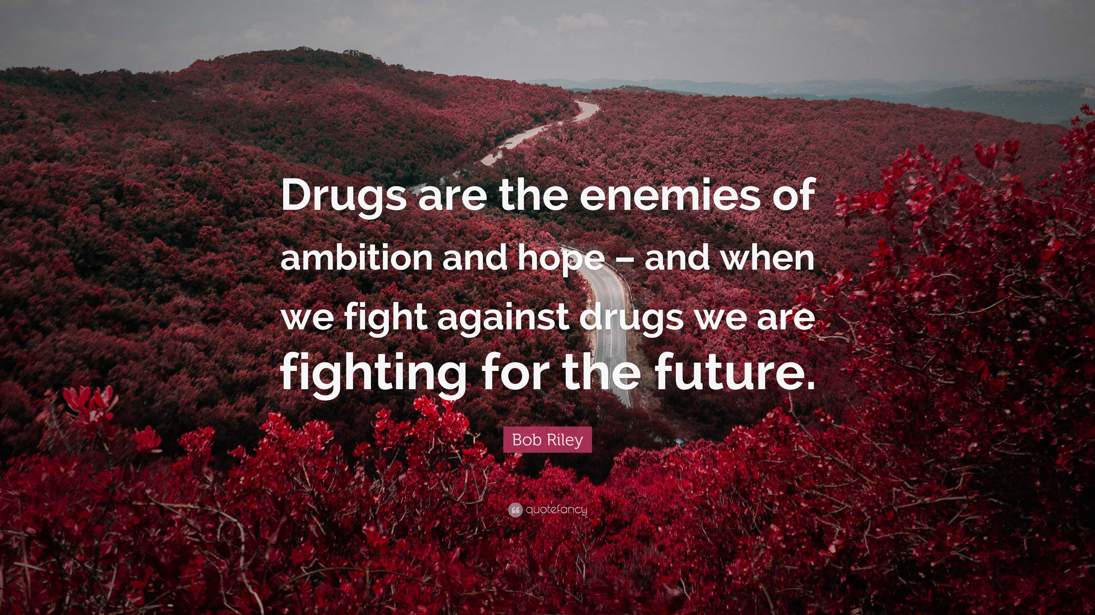 Bob Riley Quote: “Drugs are the enemies of ambition and hope – and when ...