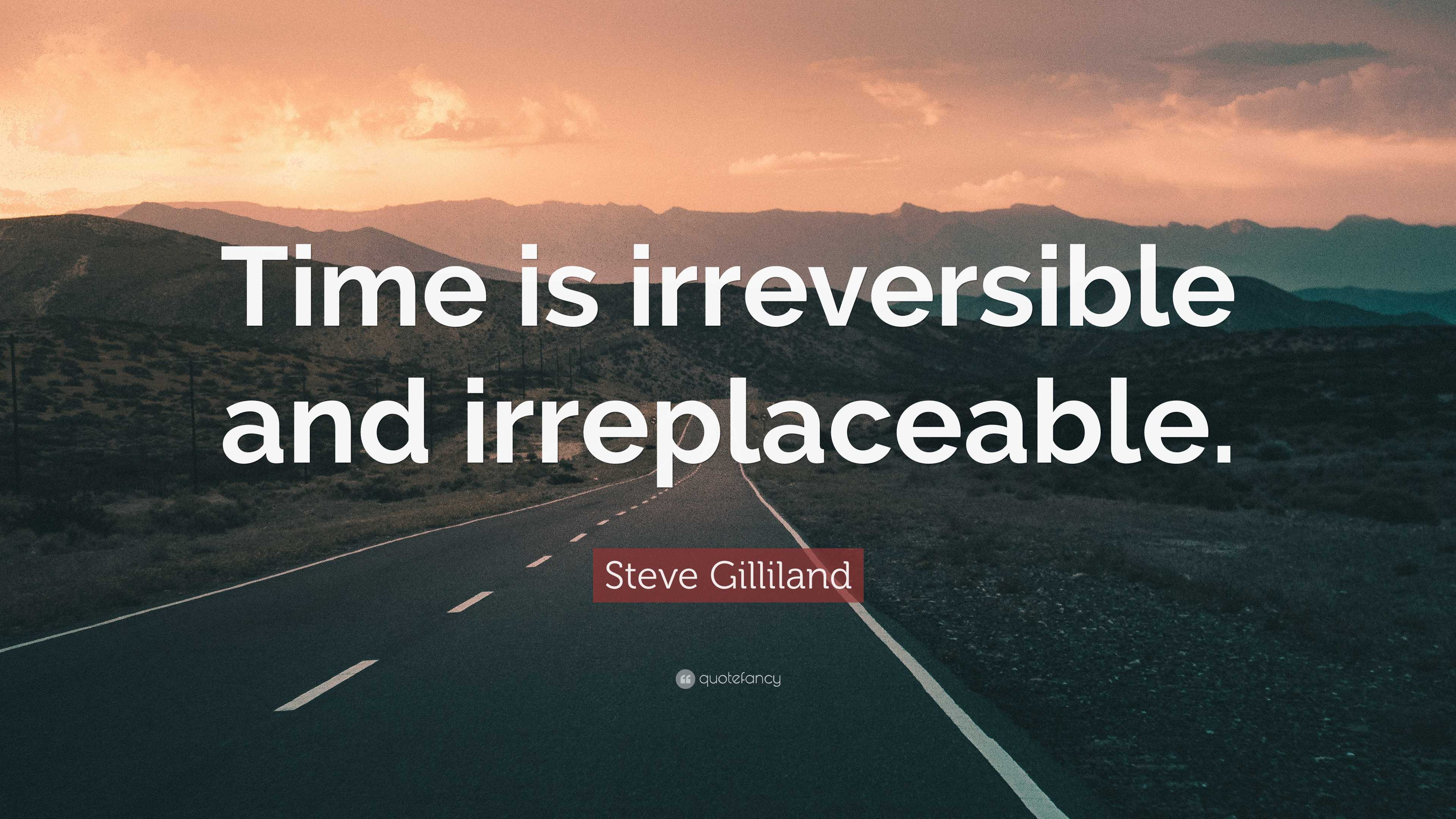 Steve Gilliland Quote: “Time is irreversible and irreplaceable.”