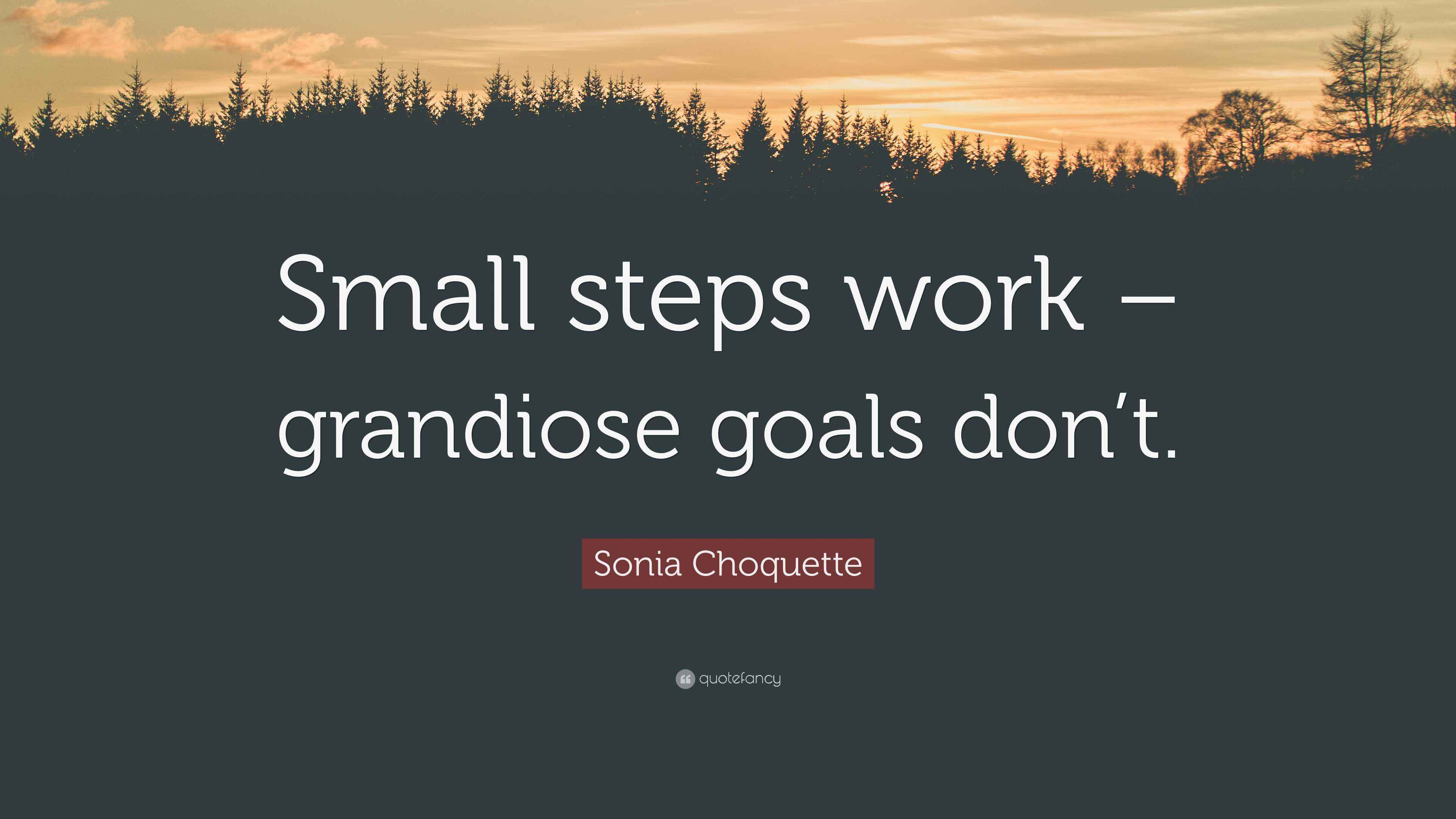Sonia Choquette Quote: “Small steps work – grandiose goals don’t.”
