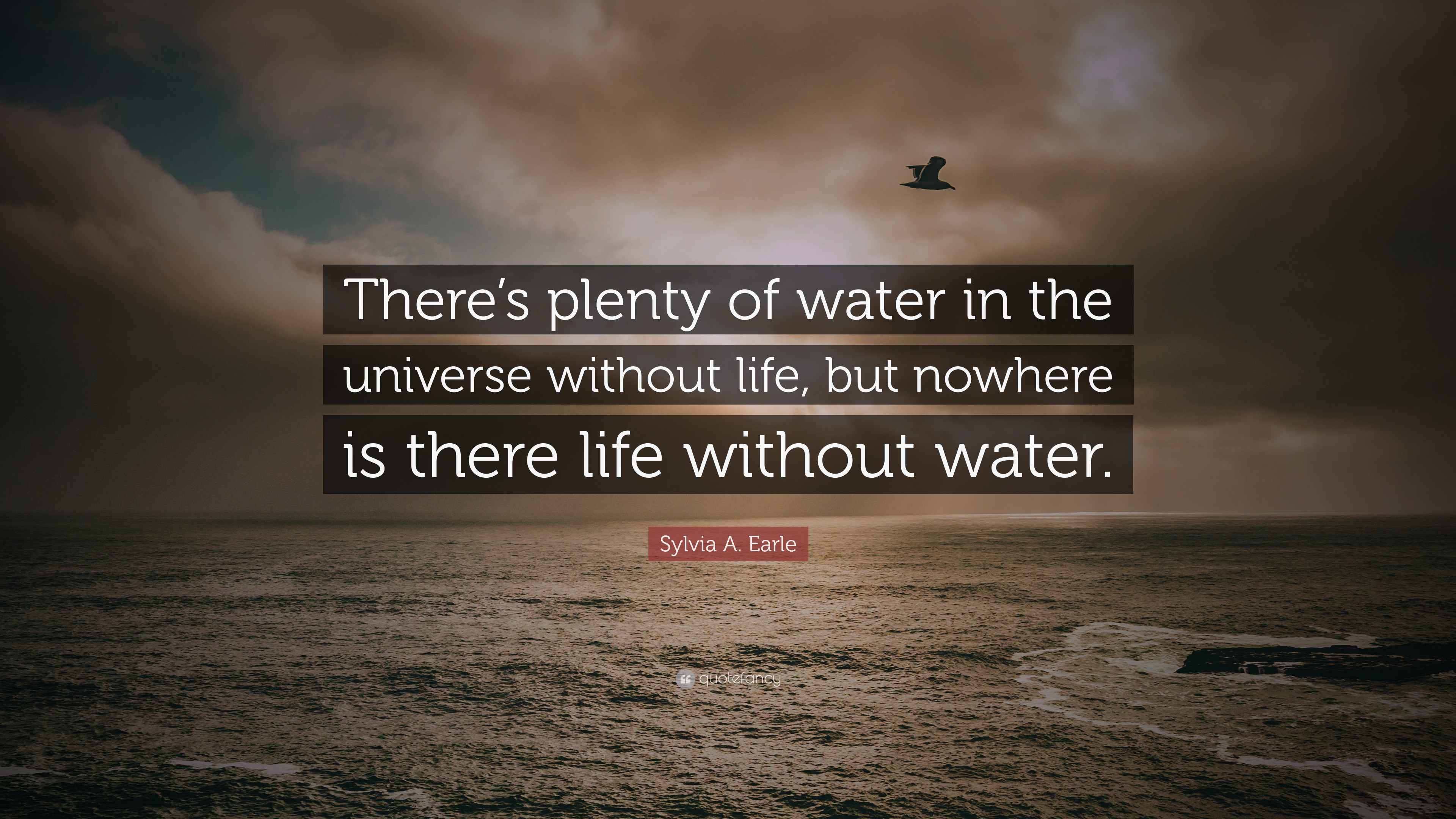 Sylvia A. Earle Quote: “There’s plenty of water in the universe without ...