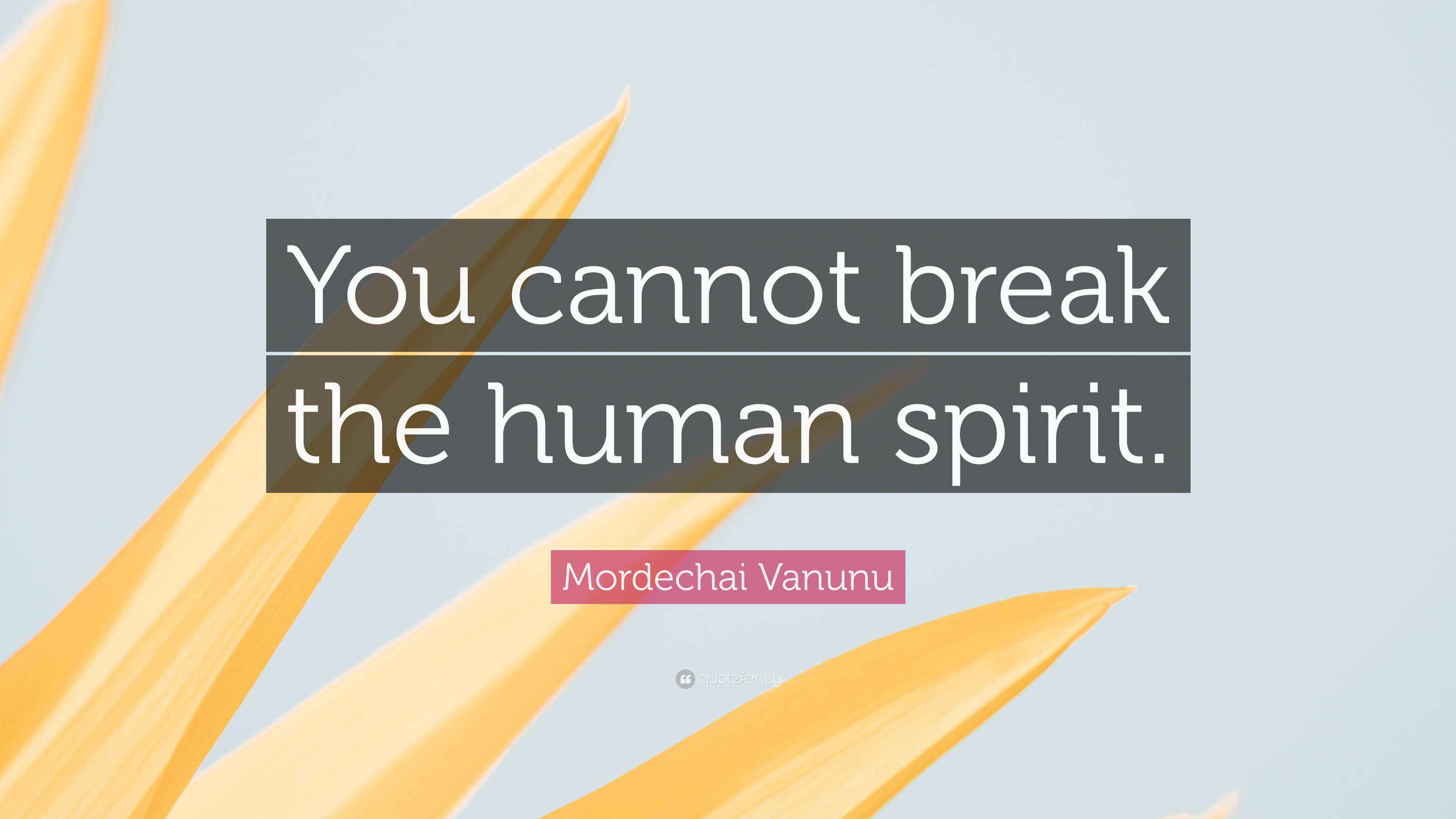 Mordechai Vanunu Quote: “You cannot break the human spirit.”