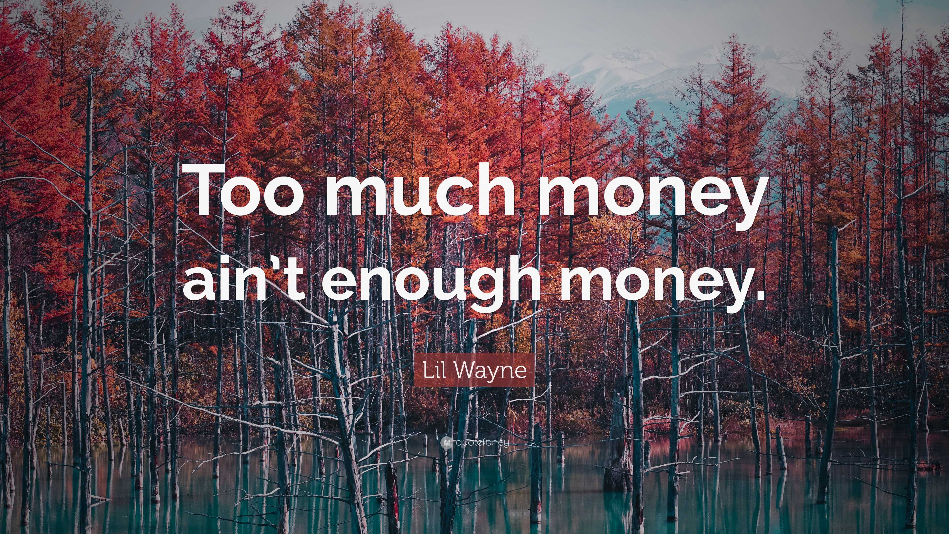 Lil Wayne Quote: “Too much money ain’t enough money.”