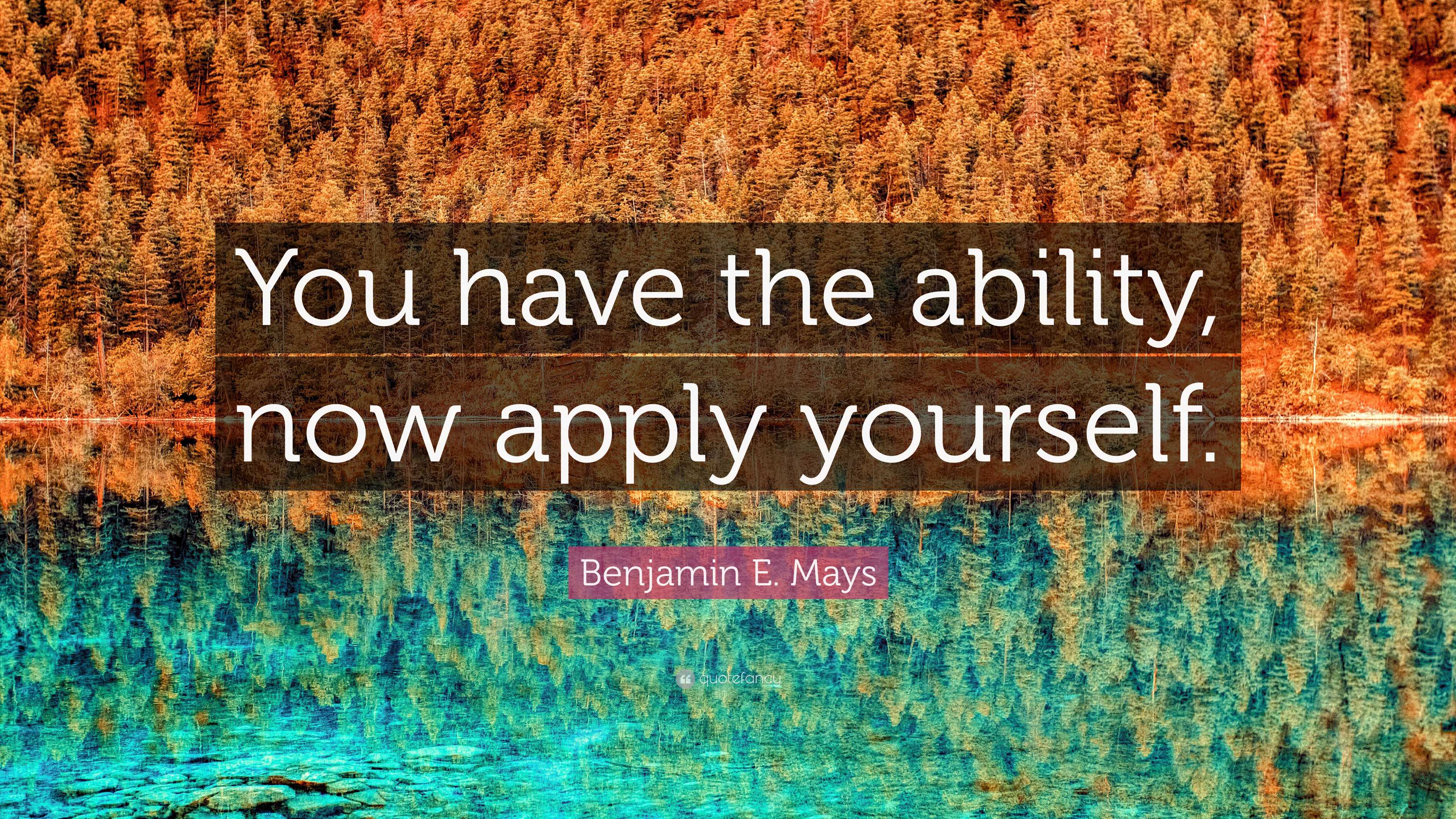 Benjamin E. Mays Quote: “You have the ability, now apply yourself.”