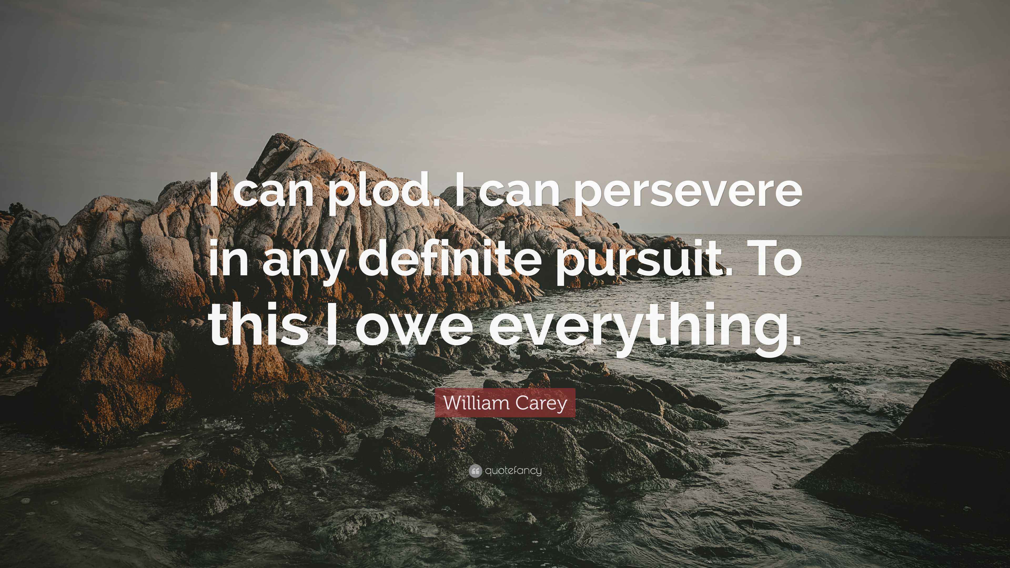 William Carey Quote: “I can plod. I can persevere in any definite ...