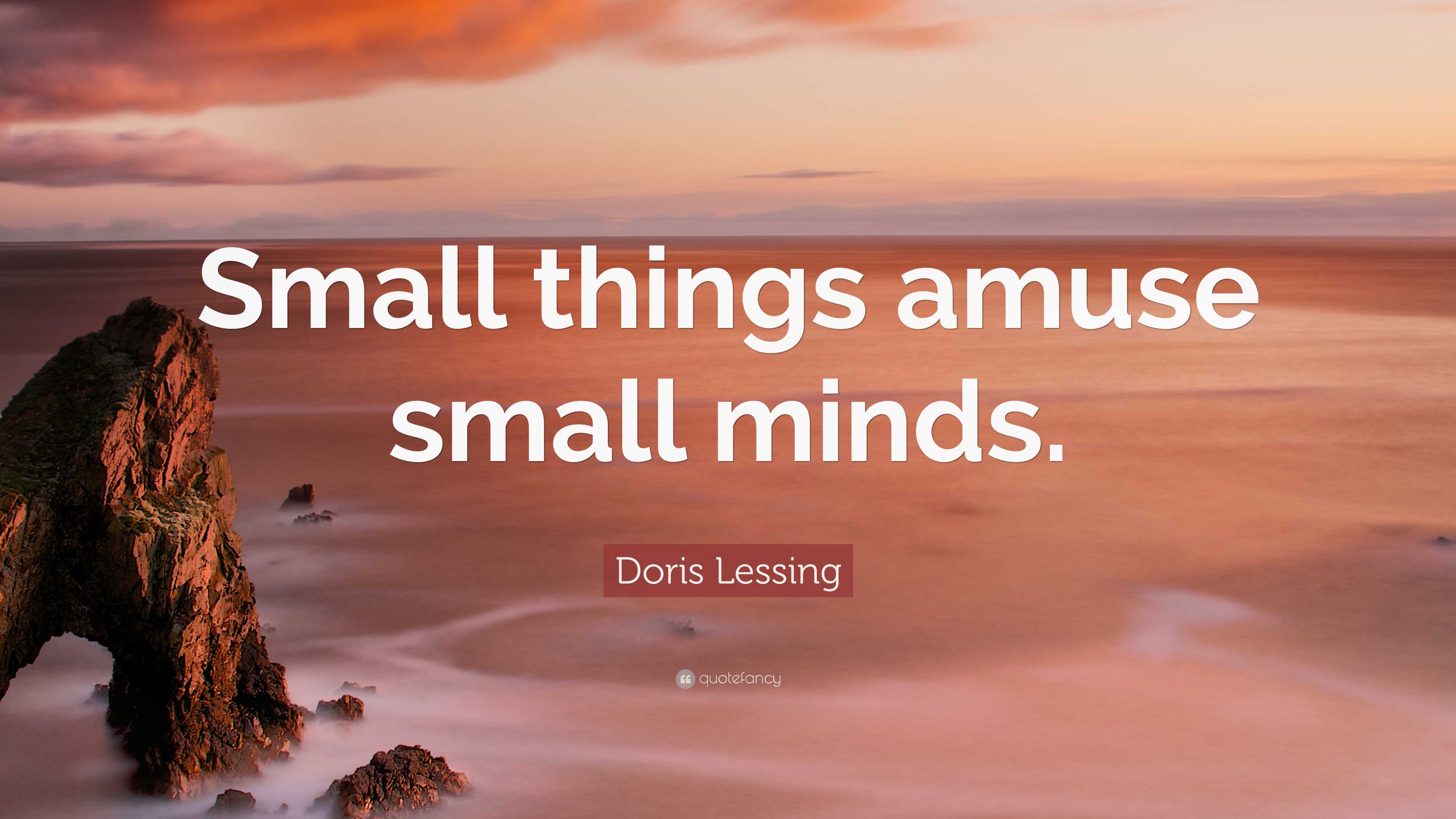Doris Lessing Quote: “Small things amuse small minds.”