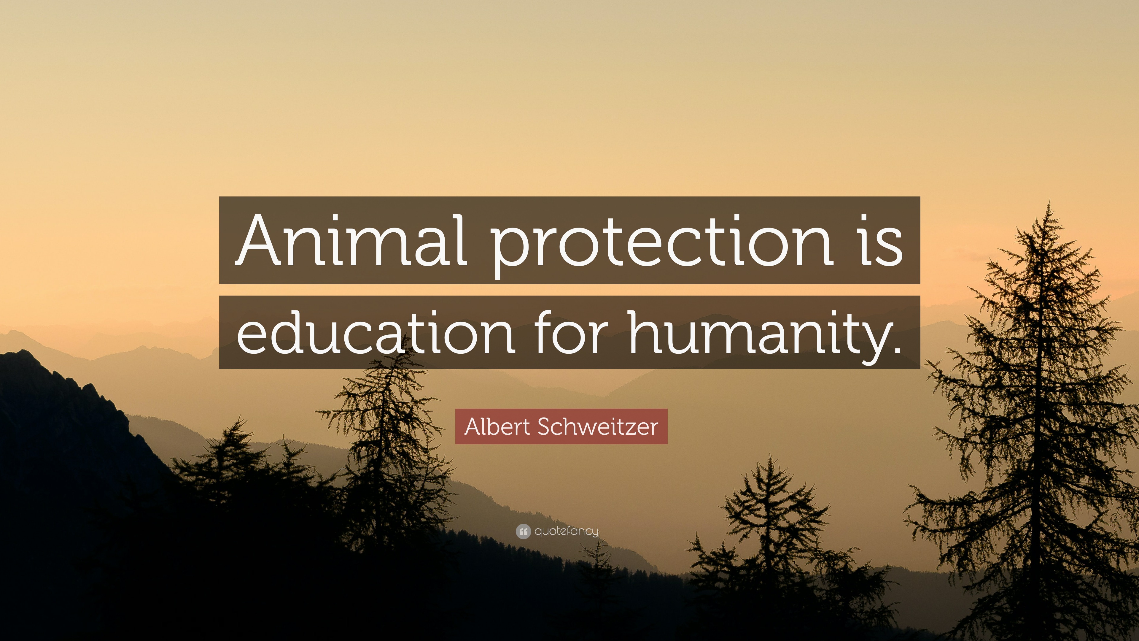 Albert Schweitzer Quote: “Animal protection is education for humanity.”