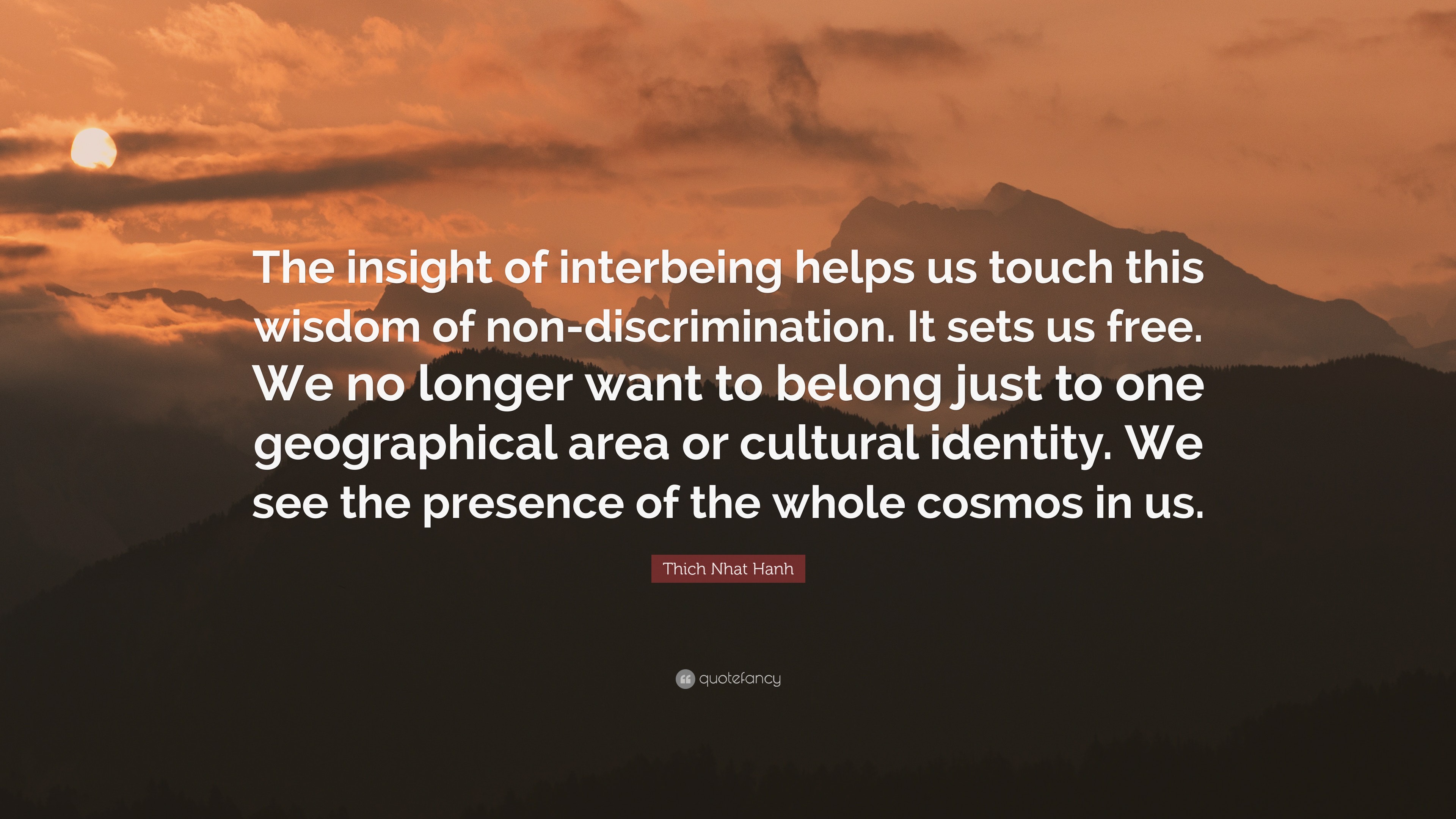 Thich Nhat Hanh Quote: “The insight of interbeing helps us touch this ...