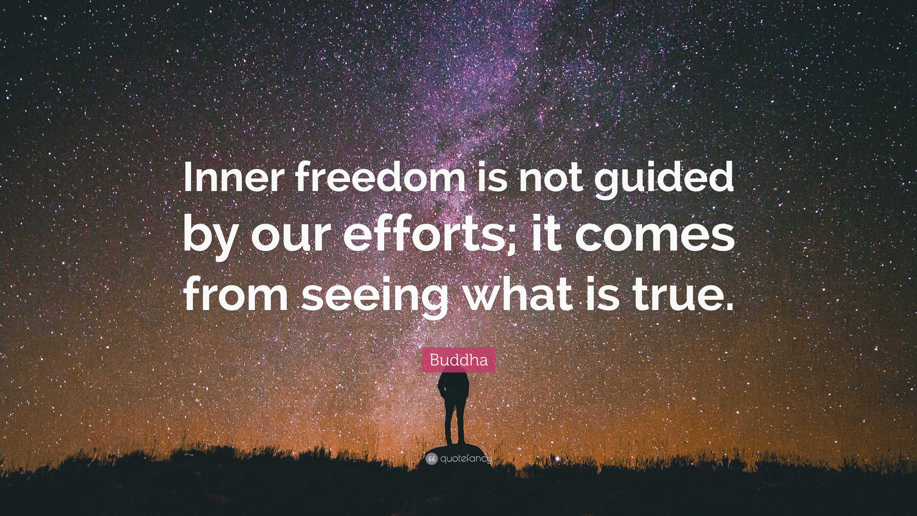 Buddha Quote: “Inner freedom is not guided by our efforts; it comes ...