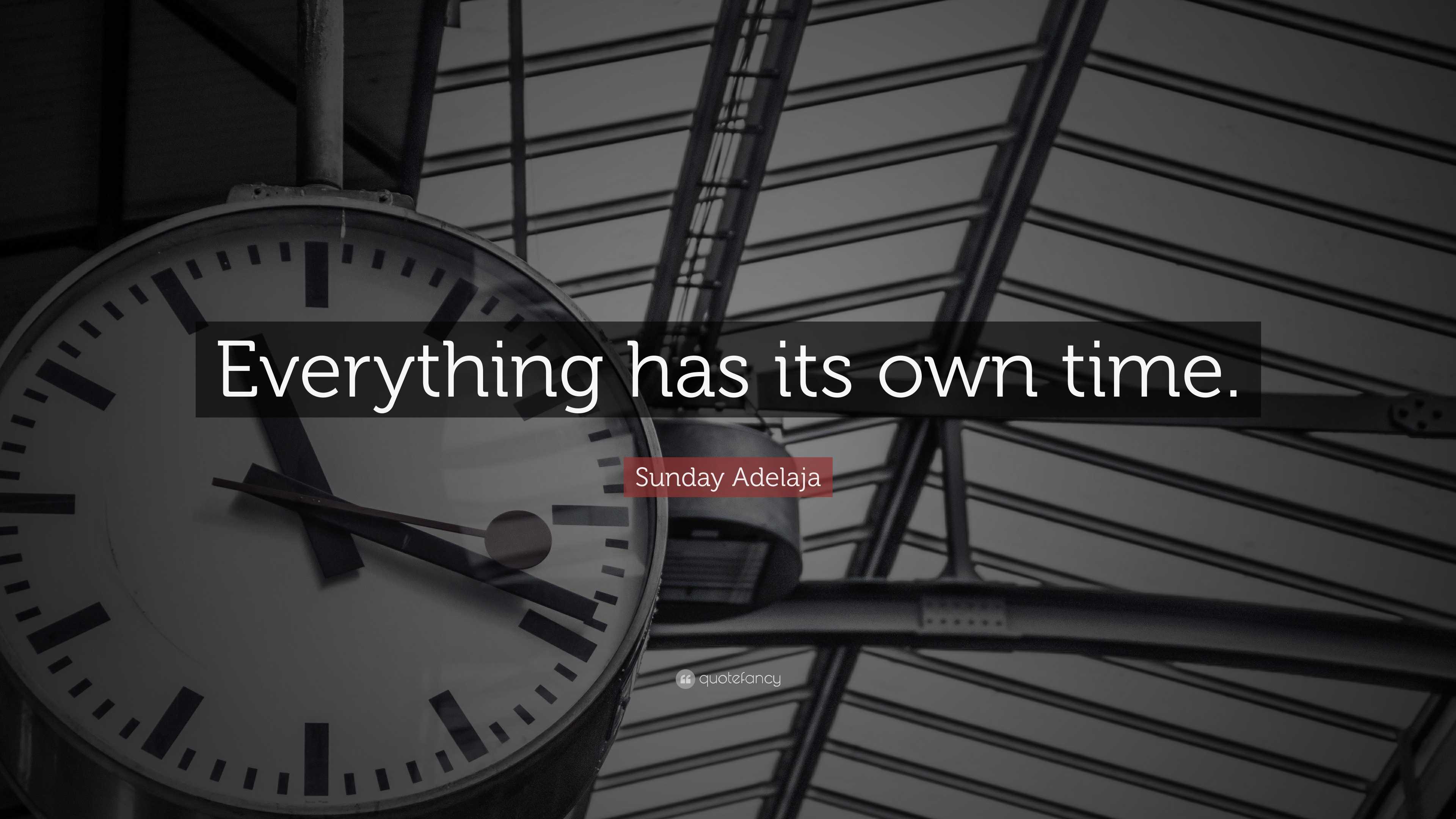 Sunday Adelaja Quote: “Everything has its own time.”