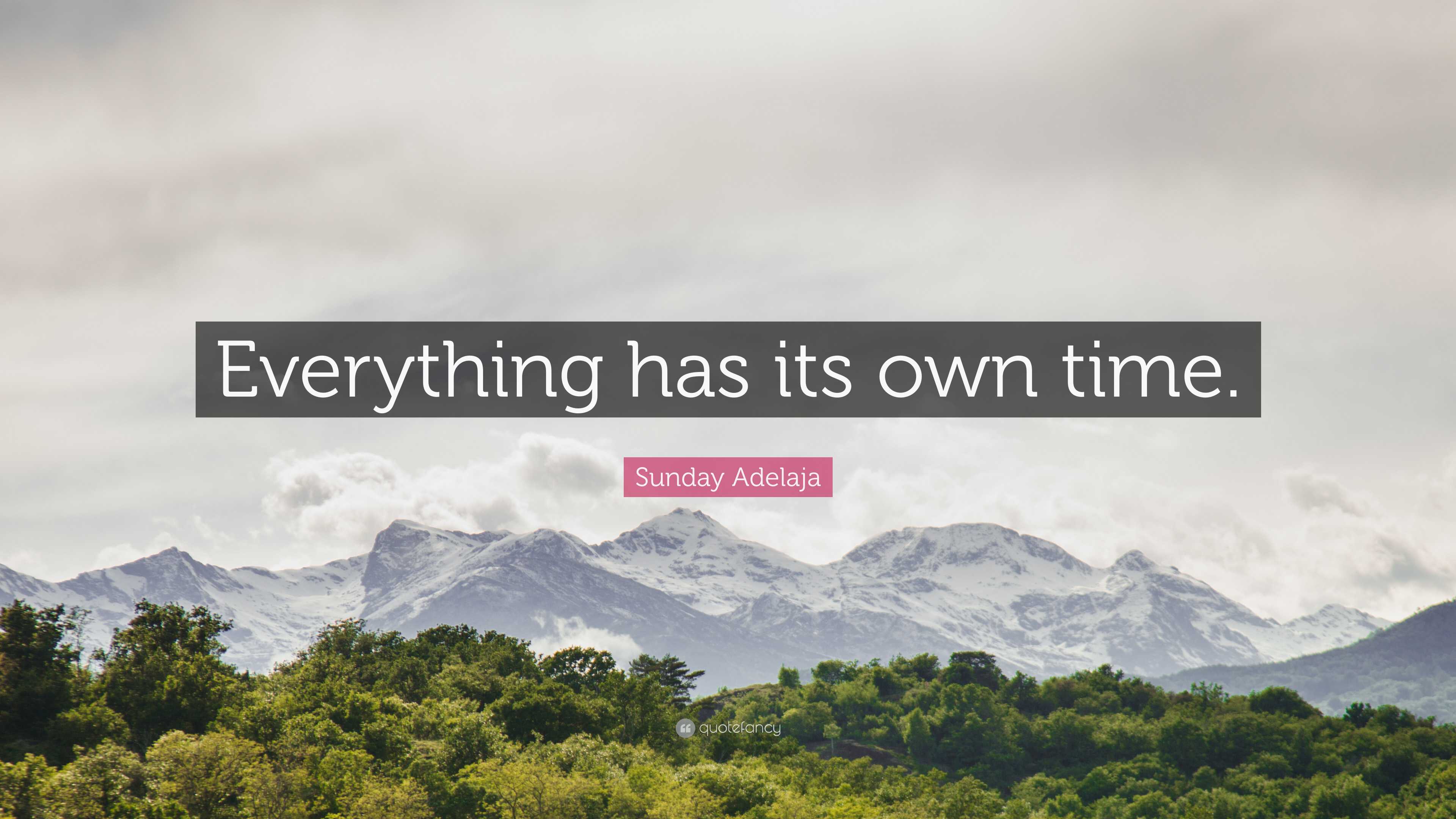Sunday Adelaja Quote: “Everything has its own time.”