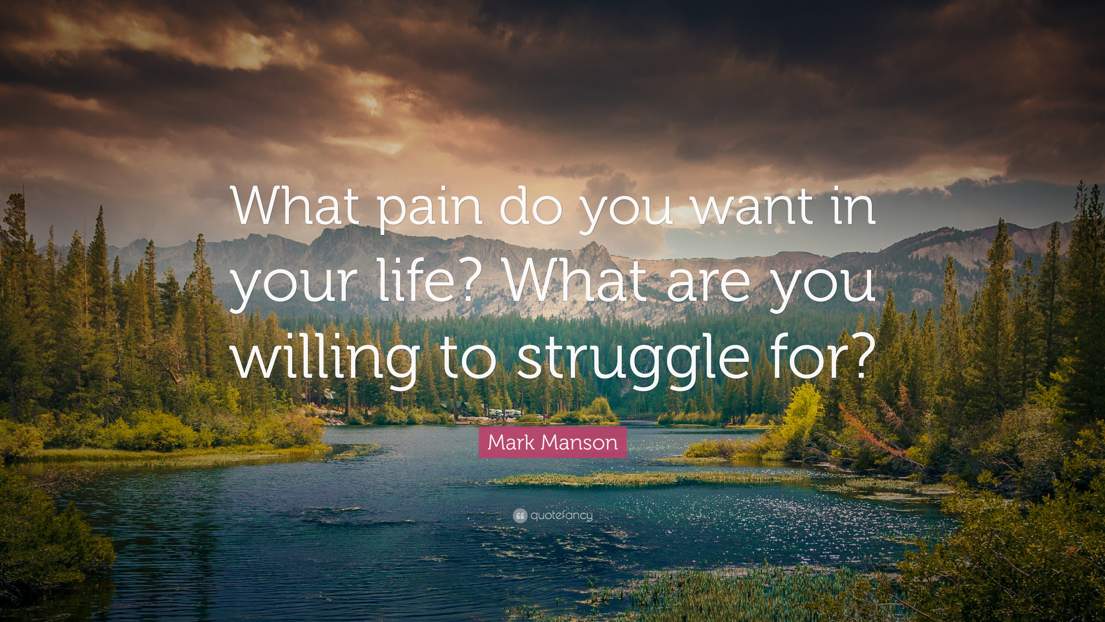 Mark Manson Quote: “What pain do you want in your life? What are you ...