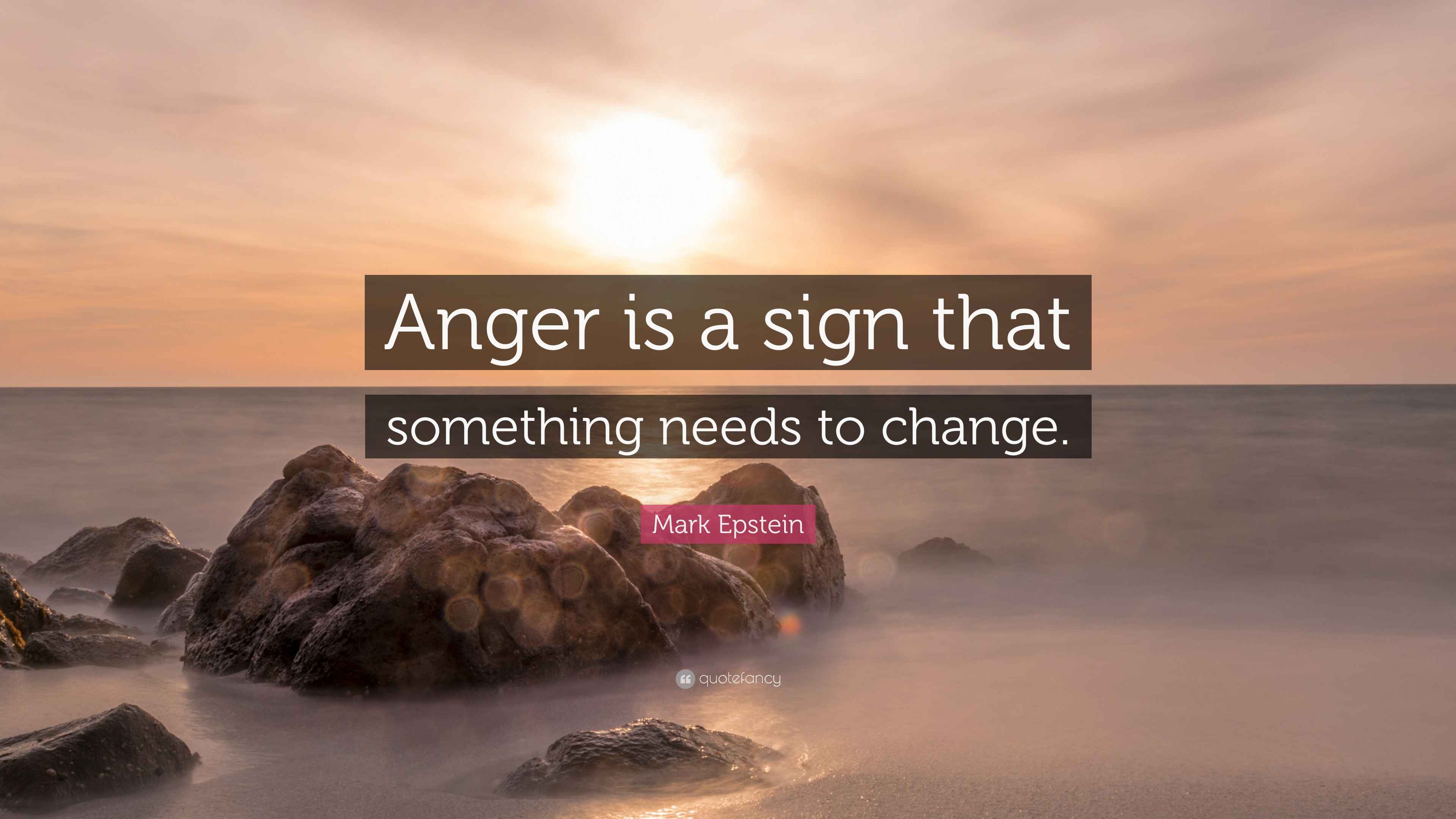 Mark Epstein Quote: “Anger is a sign that something needs to change.”