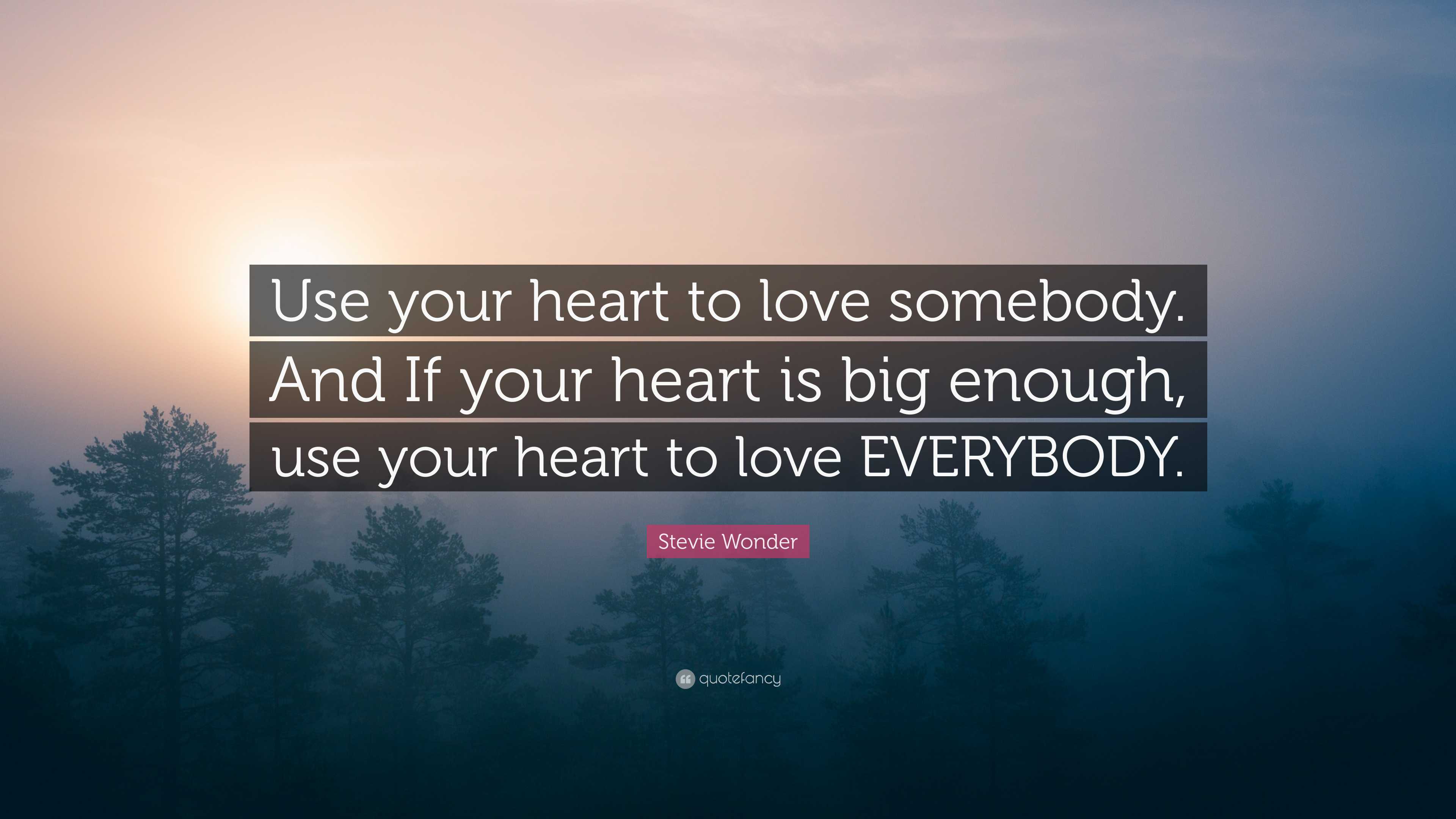 Stevie Wonder Quote: “Use your heart to love somebody. And If your ...