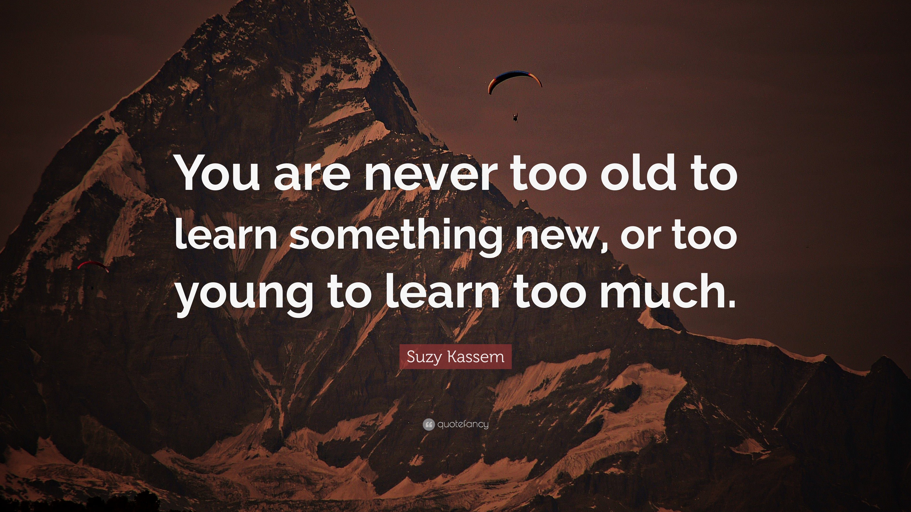 Suzy Kassem Quote: “You are never too old to learn something new, or ...