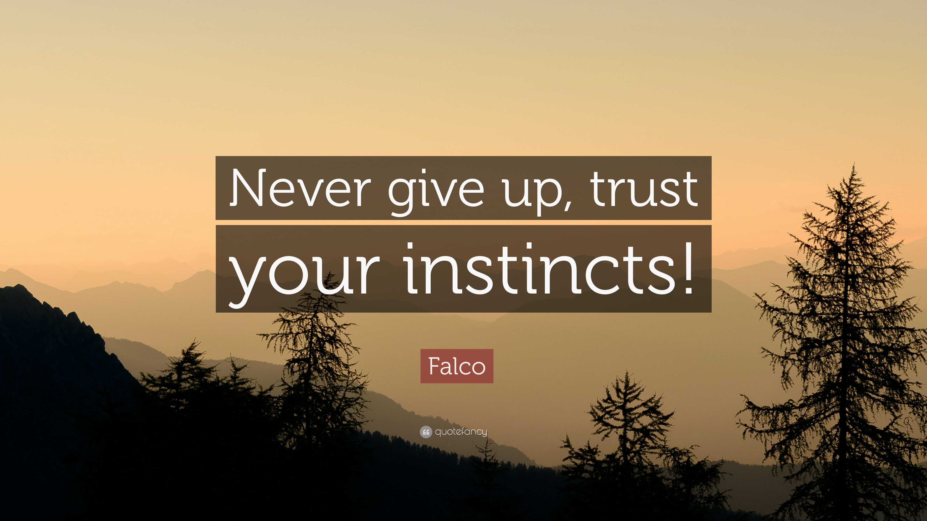 Falco Quote: “Never give up, trust your instincts!”