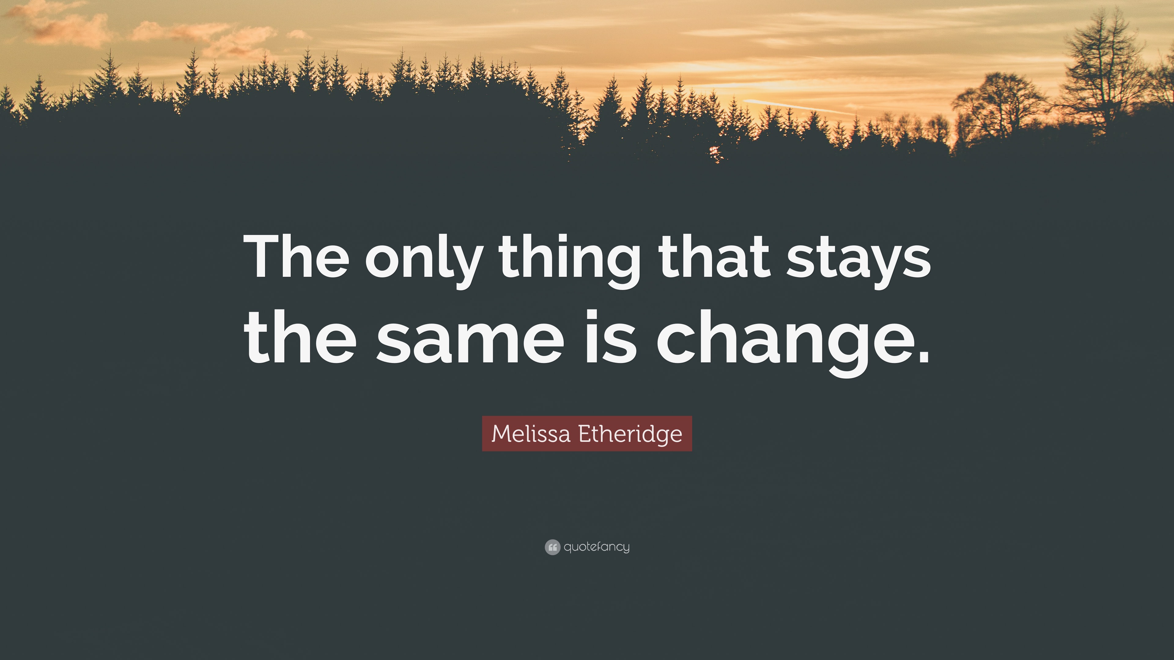 Melissa Etheridge Quote: “The only thing that stays the same is change.”