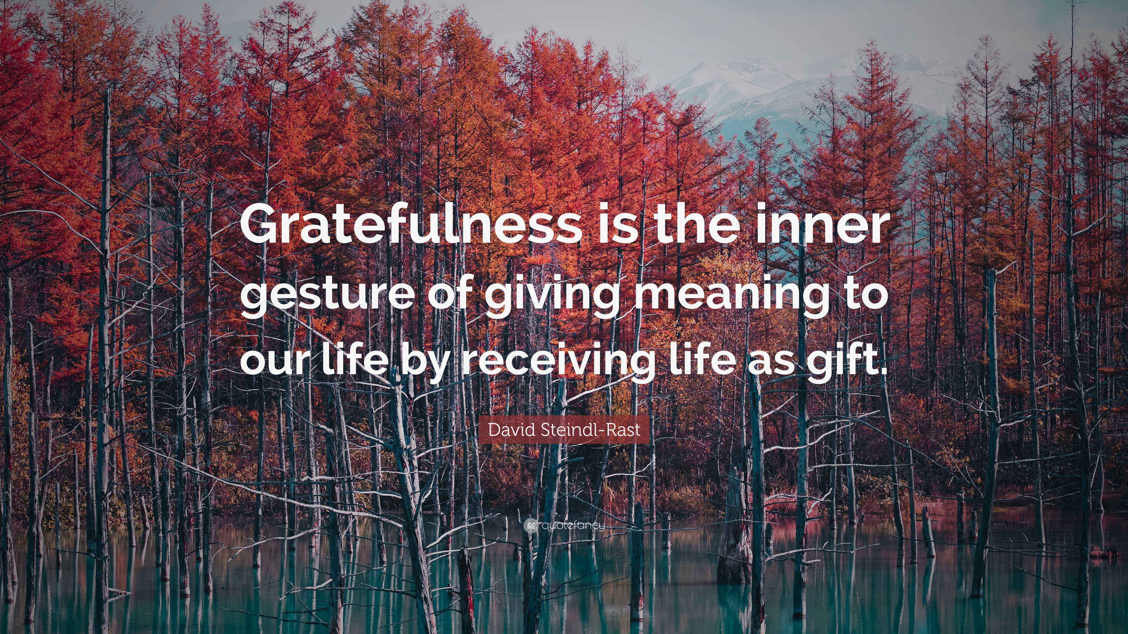 David Steindl-Rast Quote: “Gratefulness is the inner gesture of giving ...