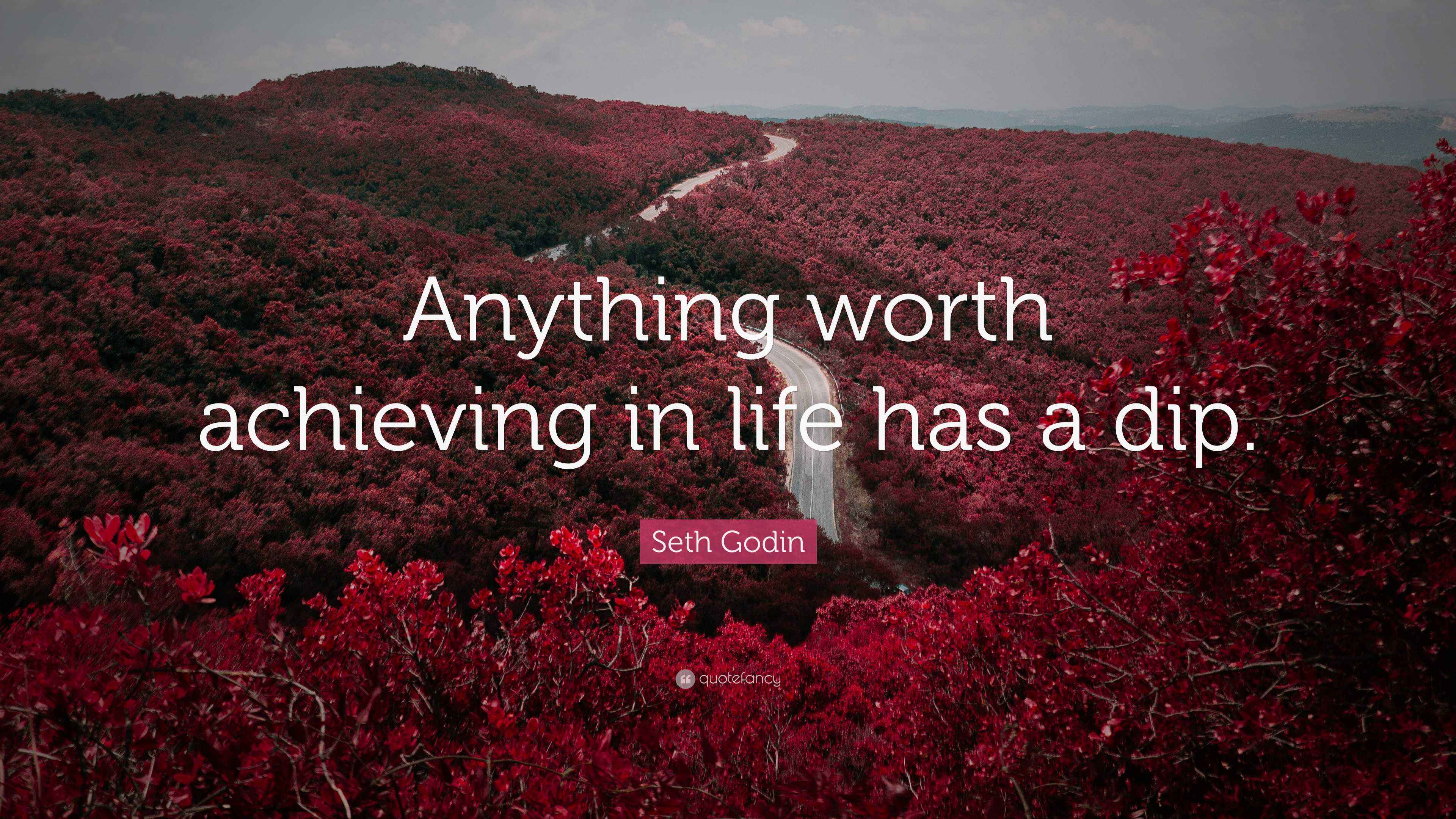 Seth Godin Quote: “Anything worth achieving in life has a dip.”