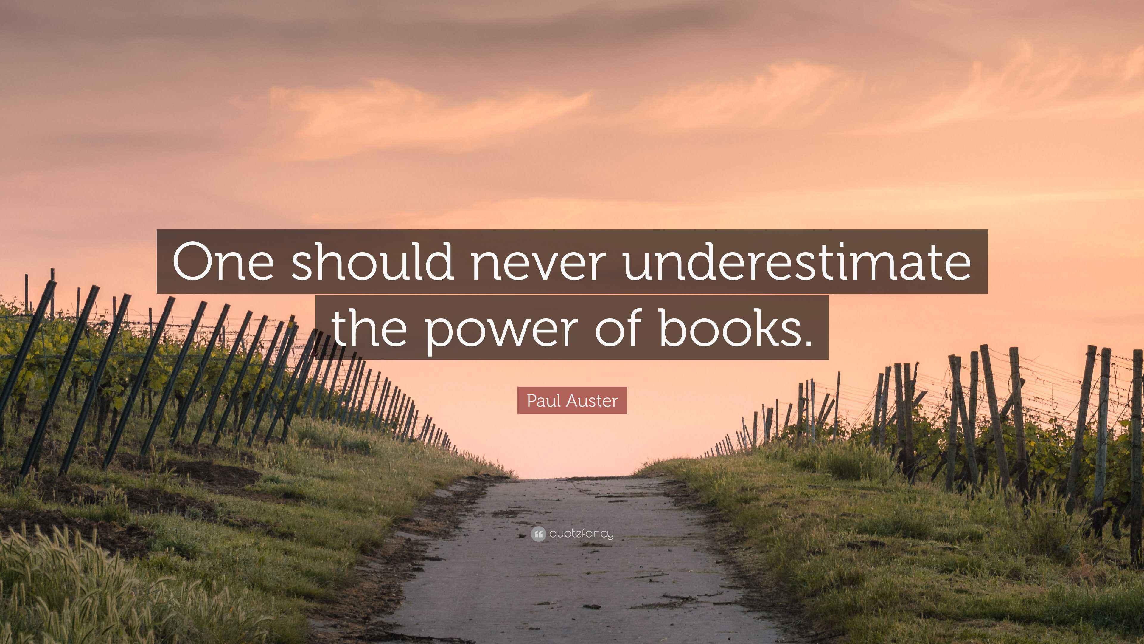 Paul Auster Quote: “One should never underestimate the power of books.”
