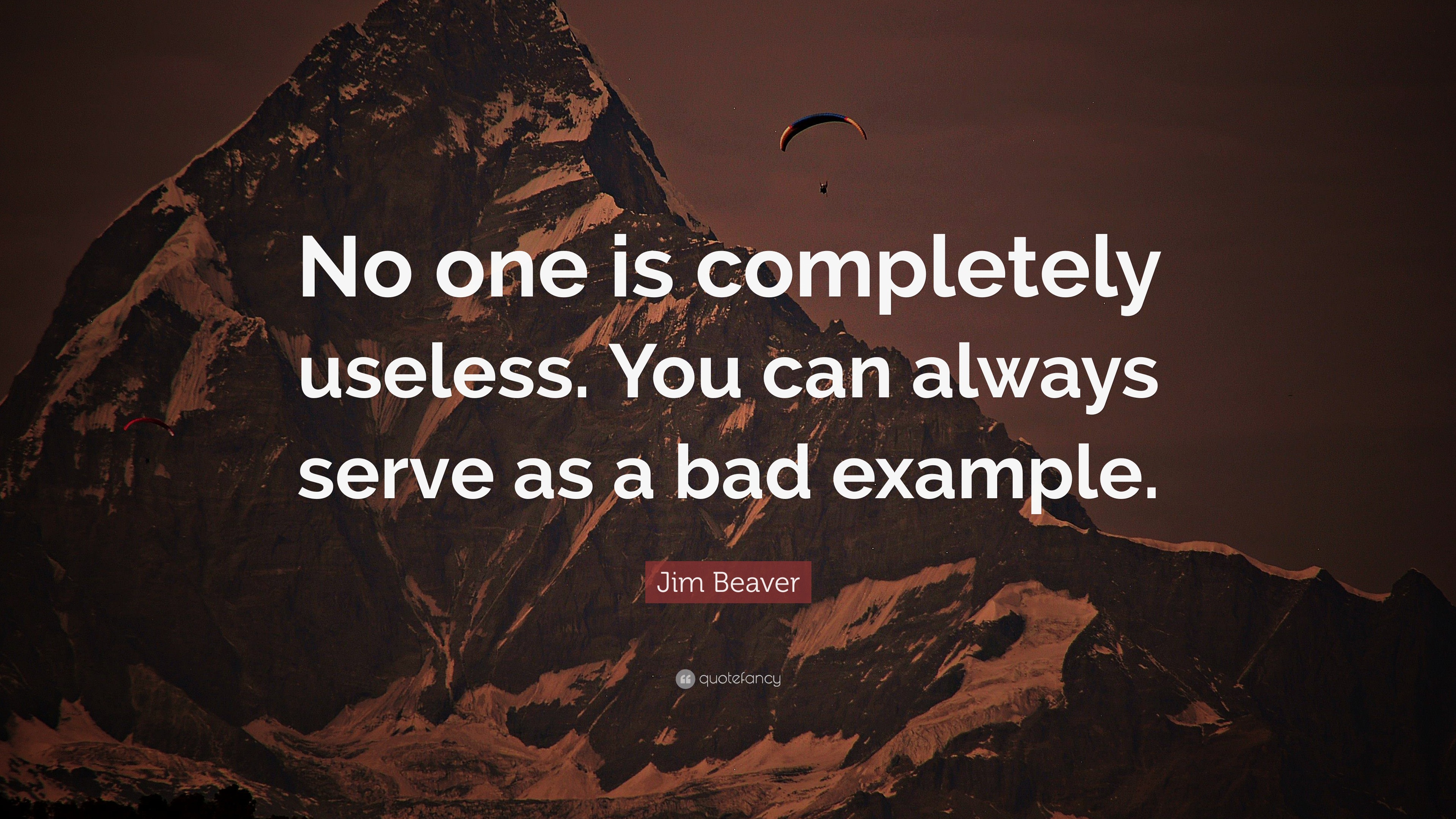 Jim Beaver Quote: “No one is completely useless. You can always serve ...