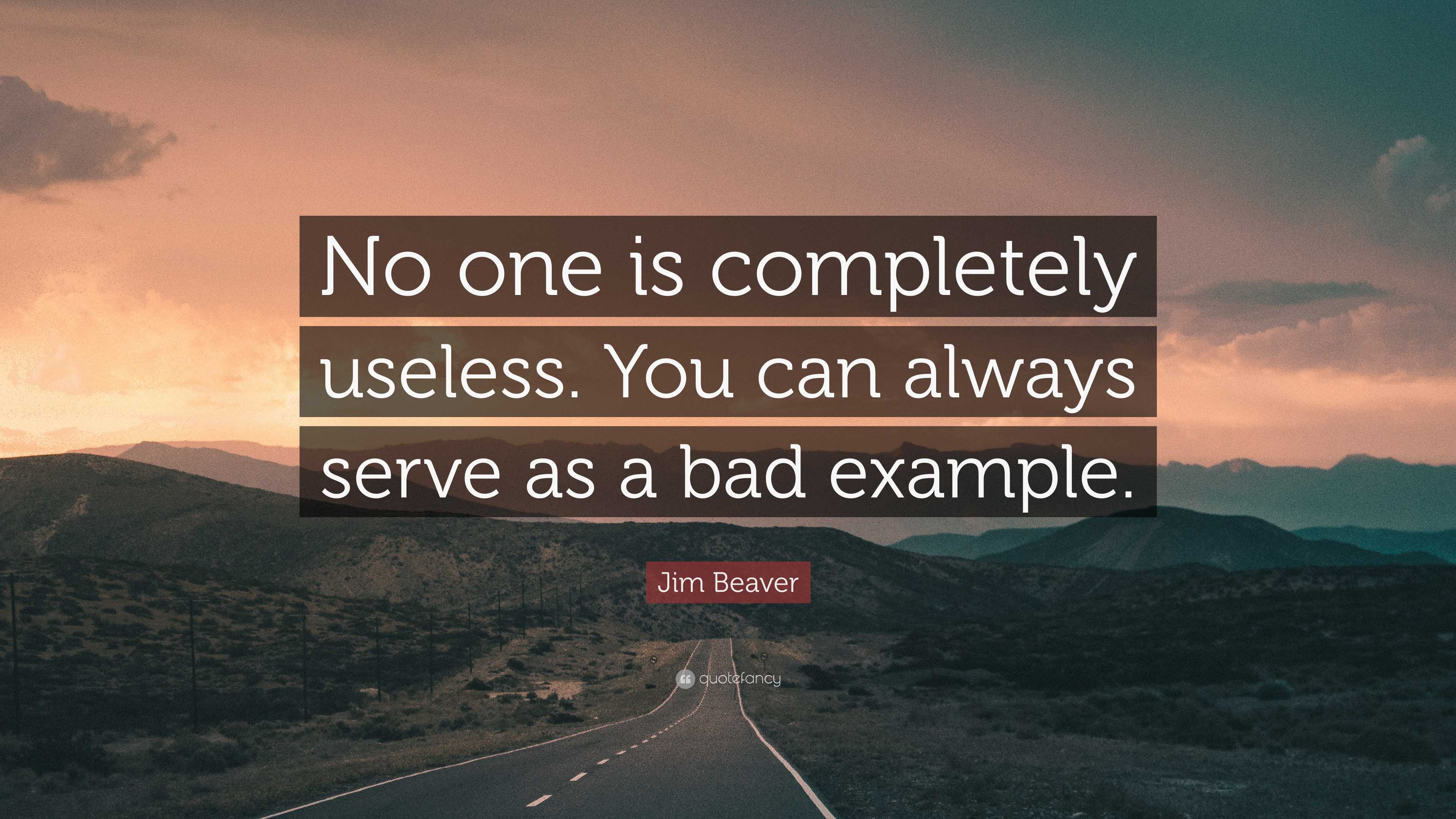 Jim Beaver Quote: “No one is completely useless. You can always serve ...