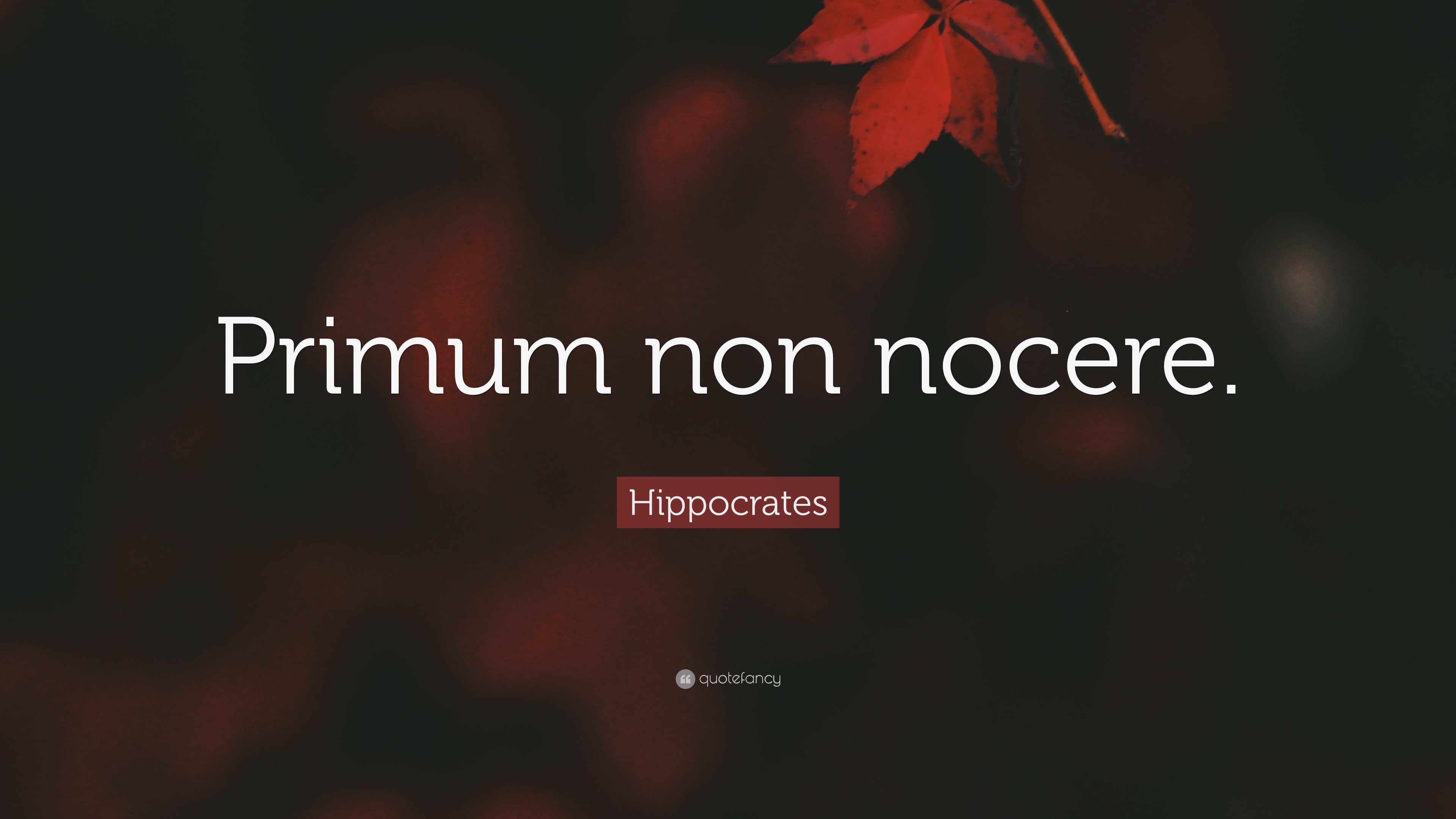 Hippocrates Quote: “Primum non nocere.”