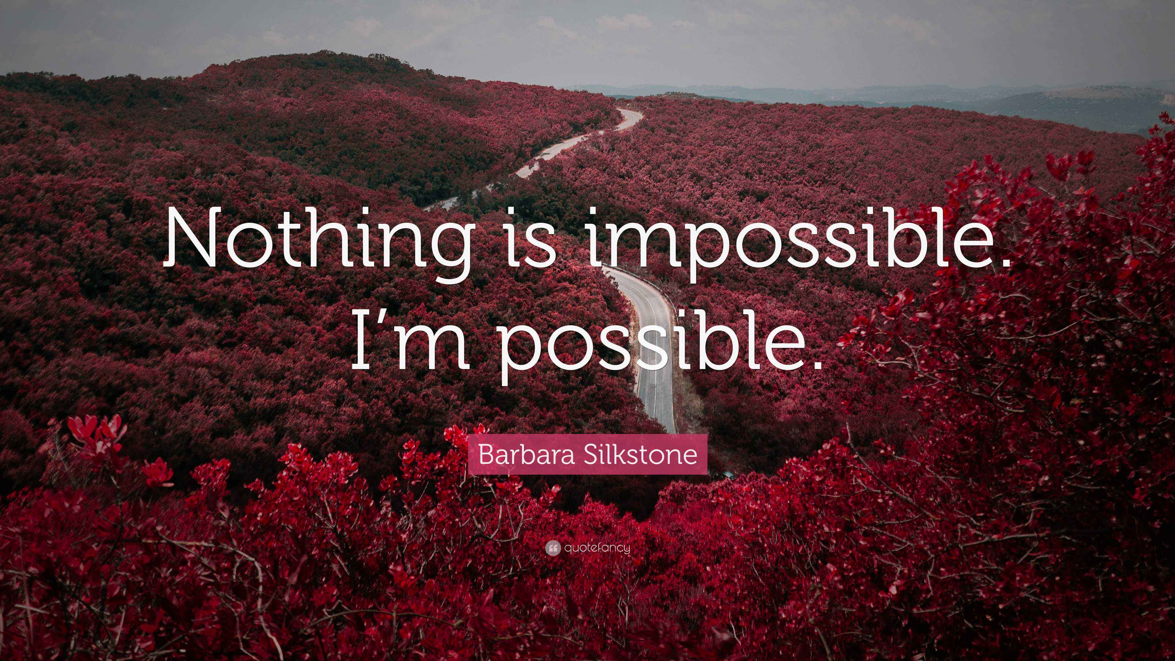 Barbara Silkstone Quote: “Nothing is impossible. I’m possible.”