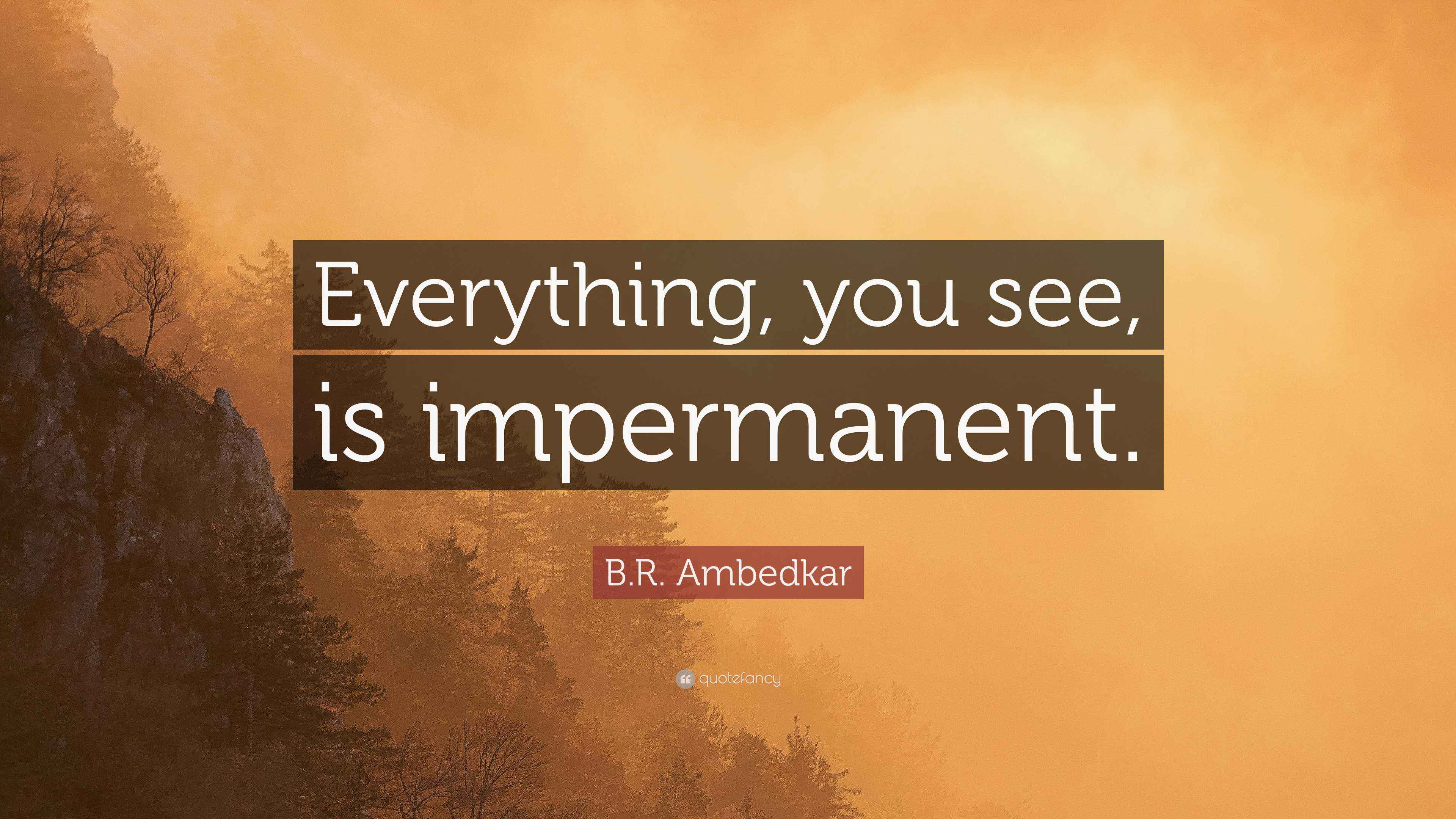 B.R. Ambedkar Quote: “Everything, you see, is impermanent.”